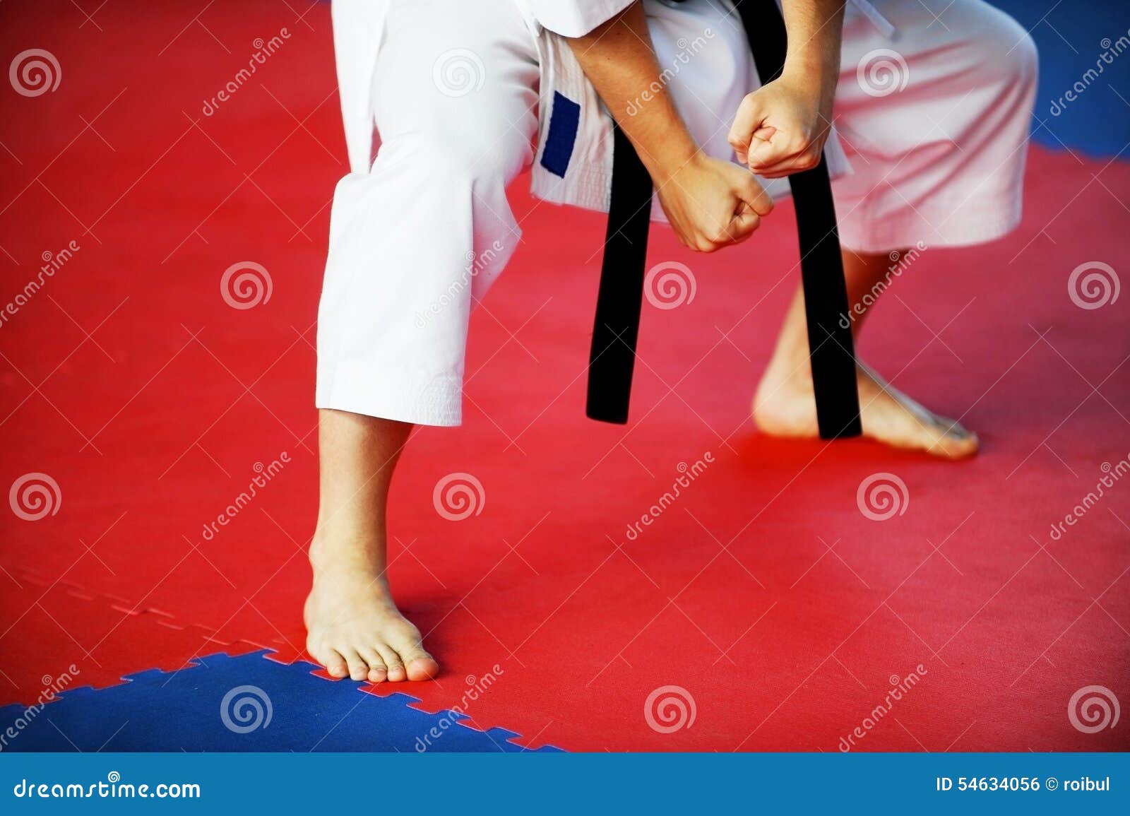 Karate Practitioner on Competition Floor Stock Photo - Image of combat ...