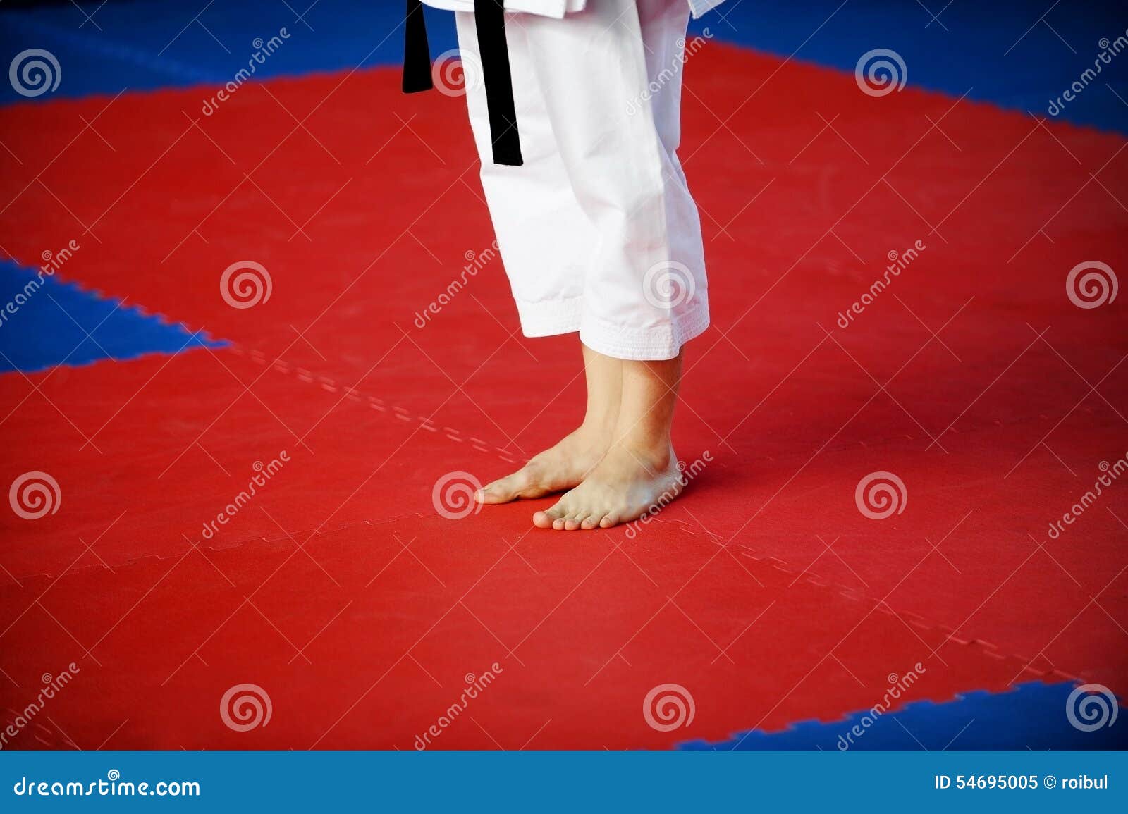 Karate Practitioner on Competition Floor Stock Image - Image of force ...