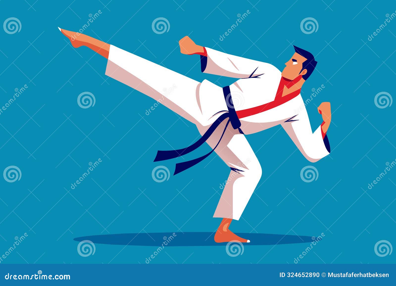 Karate Practitioner Executes a Powerful High Kick Stock Illustration ...