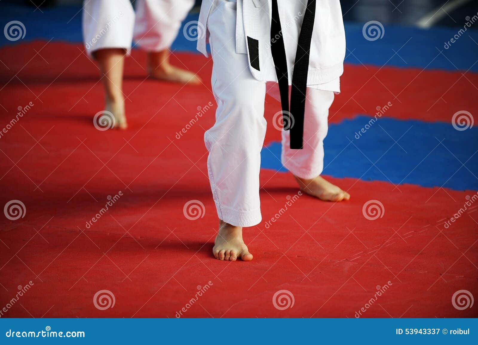 Karate Practitioners on Competition Floor Stock Image - Image of ...