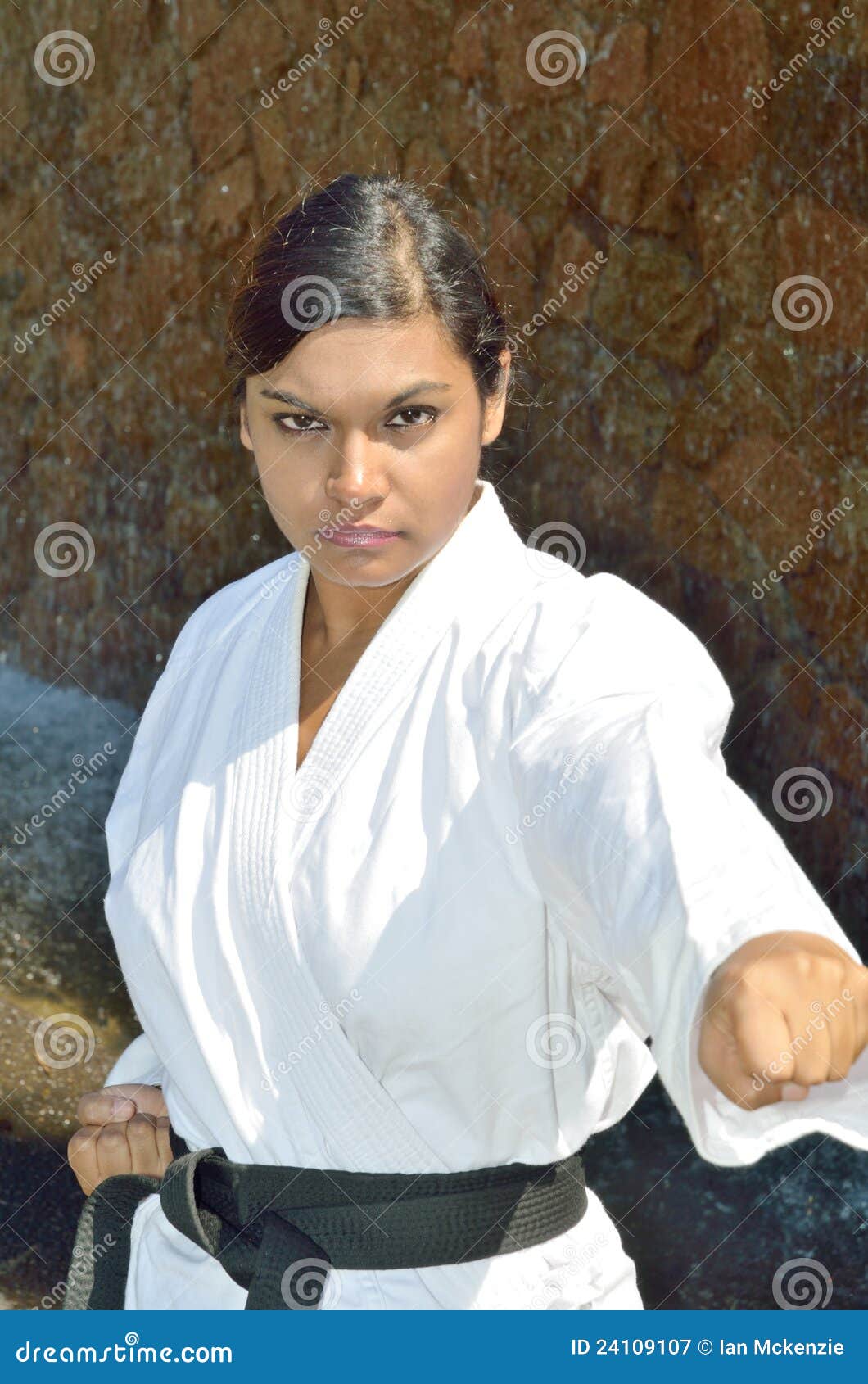 Karate punch stock image. Image of fitness, female, beautiful - 24109107