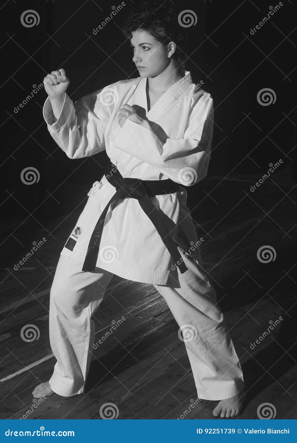 Karate show stock image. Image of show, sports, martial - 92251739