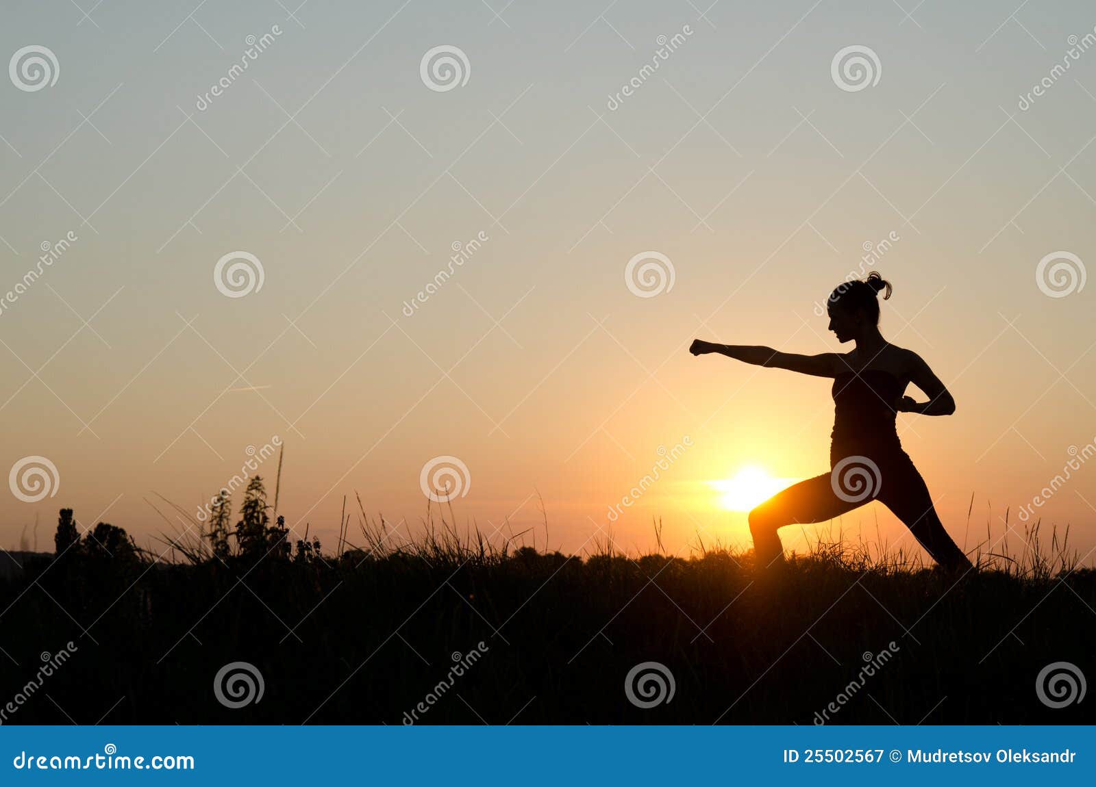 Karate on sunset. stock image. Image of human, cloud - 25502567
