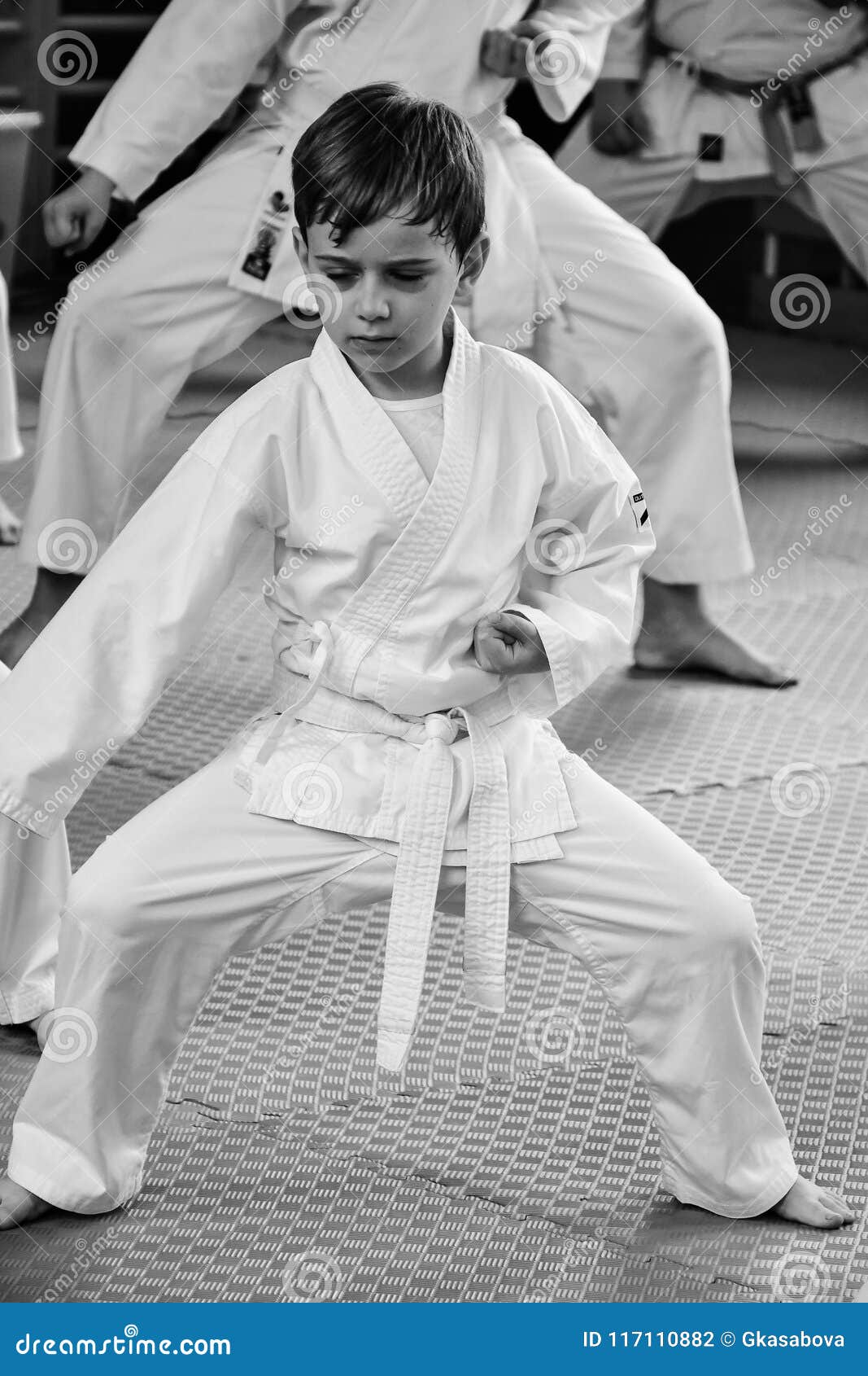 Karate training stock photo. Image of disciple, extreme - 117110882