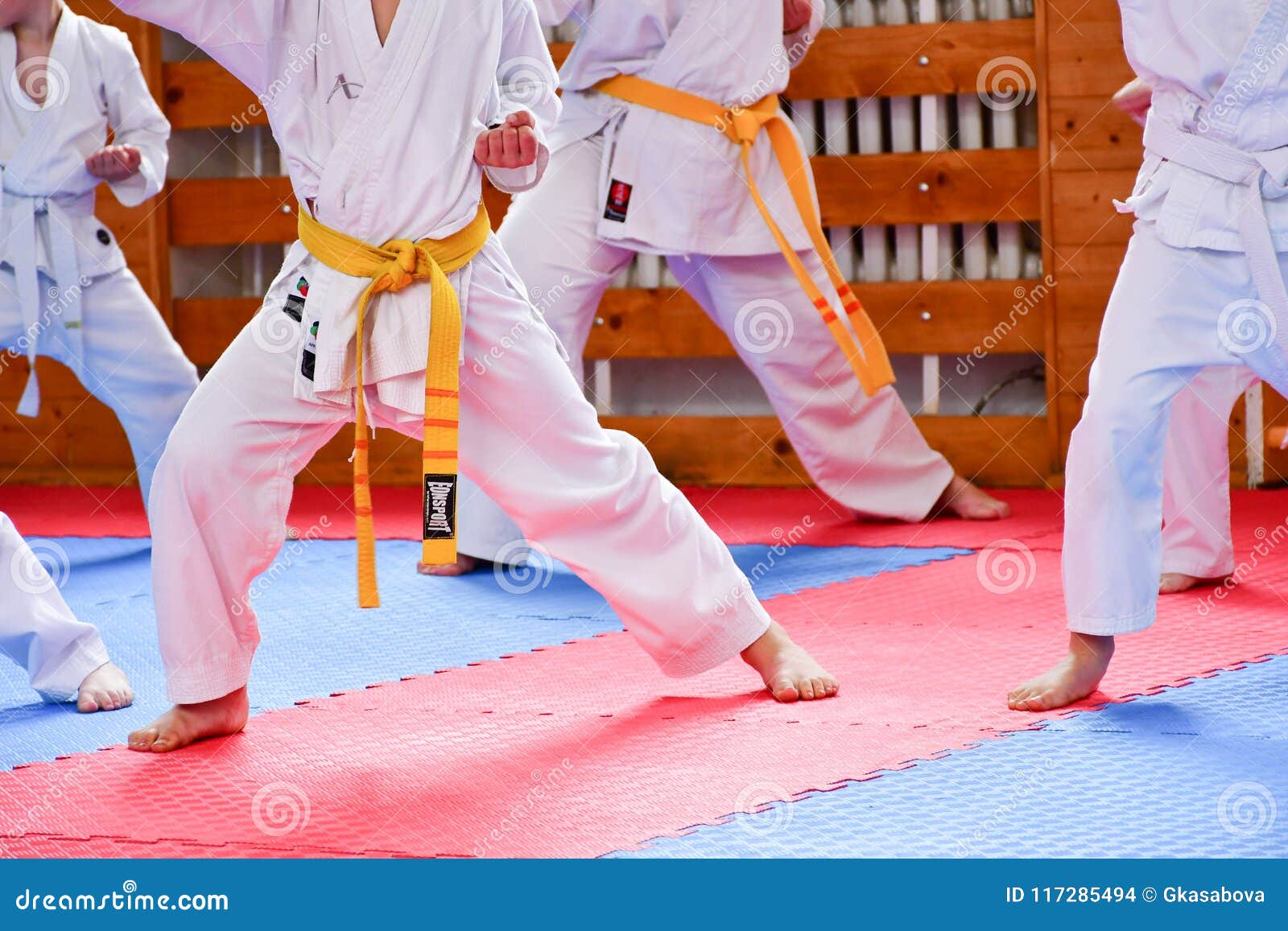 Karate Training Editorial Image | CartoonDealer.com #102453094