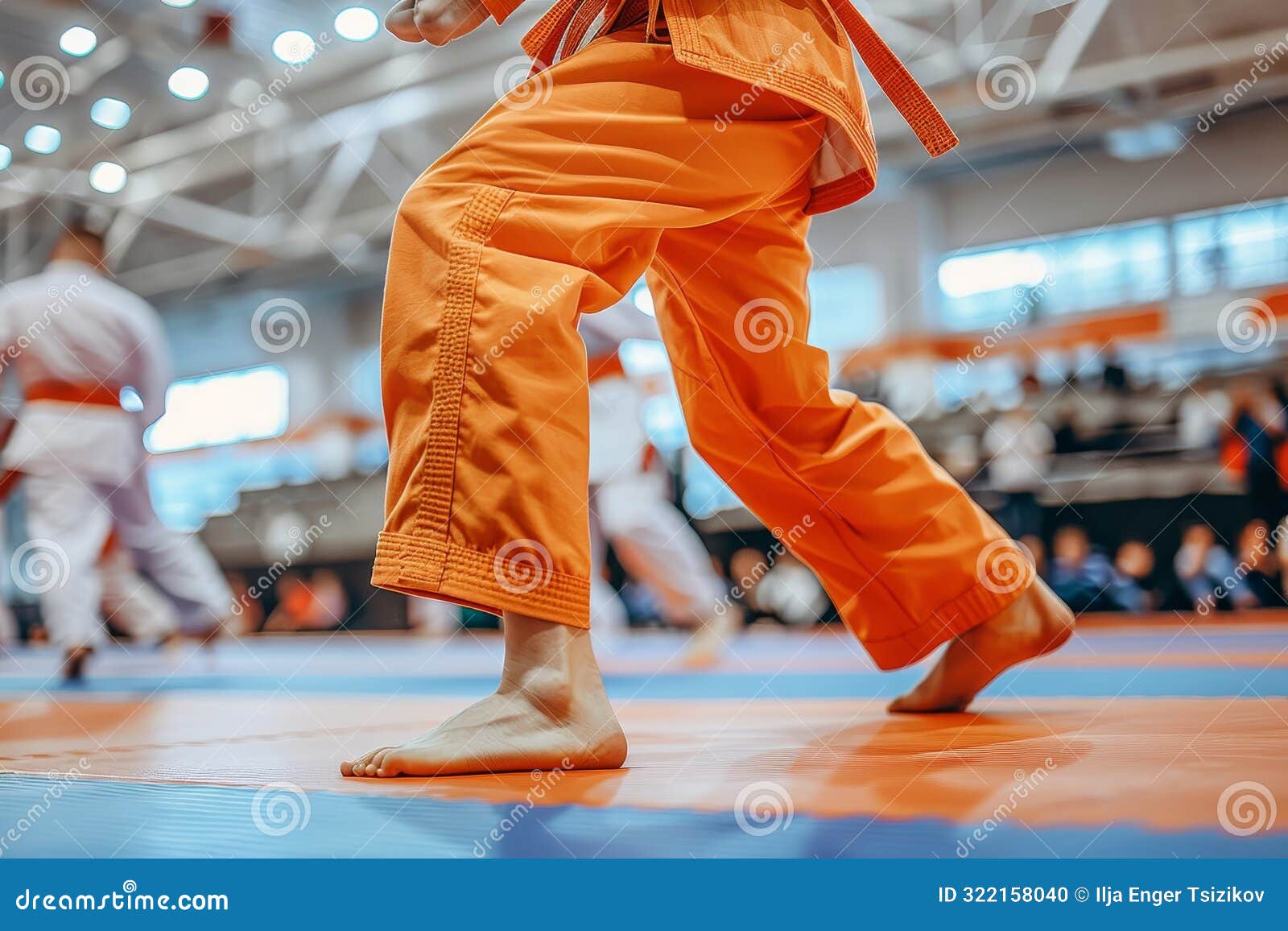 Karate Uniform in Motion Highlighting Form and Technique, Summer ...