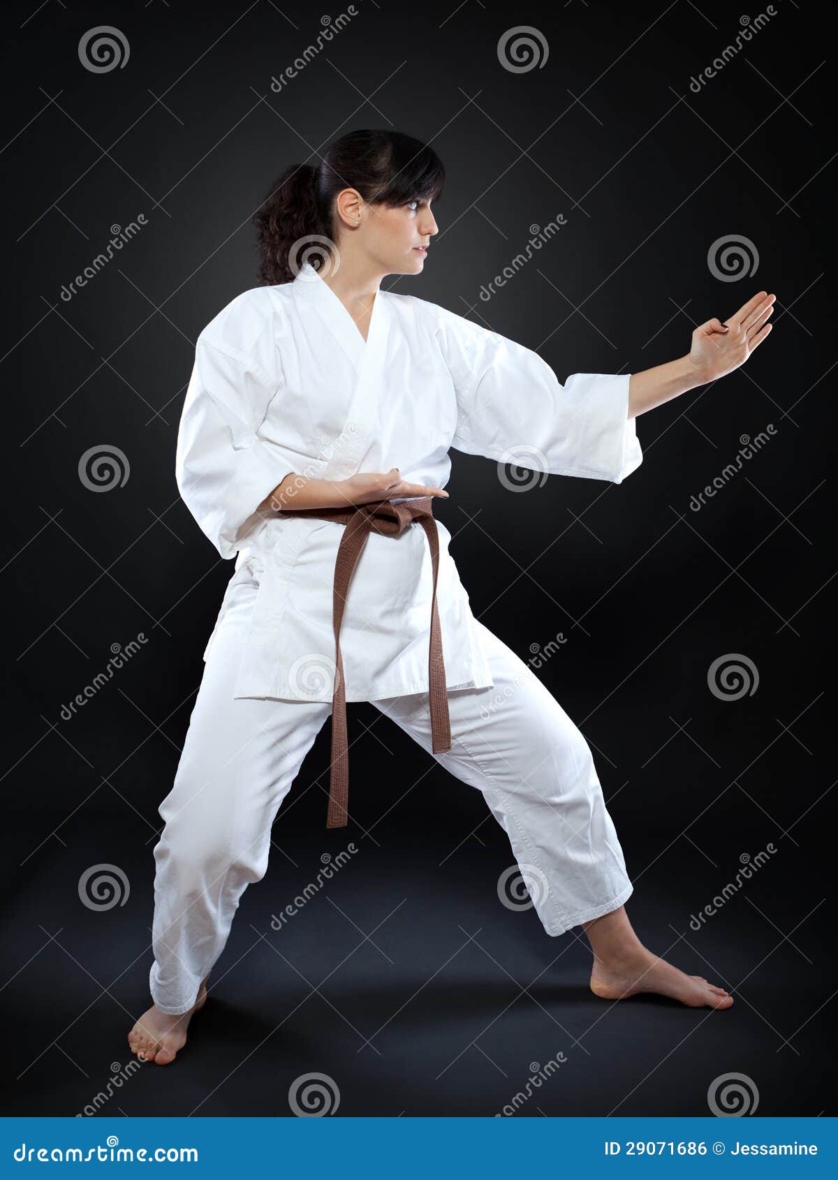 Karate Woman In Basic Karate Pose Stock Photography | CartoonDealer.com ...