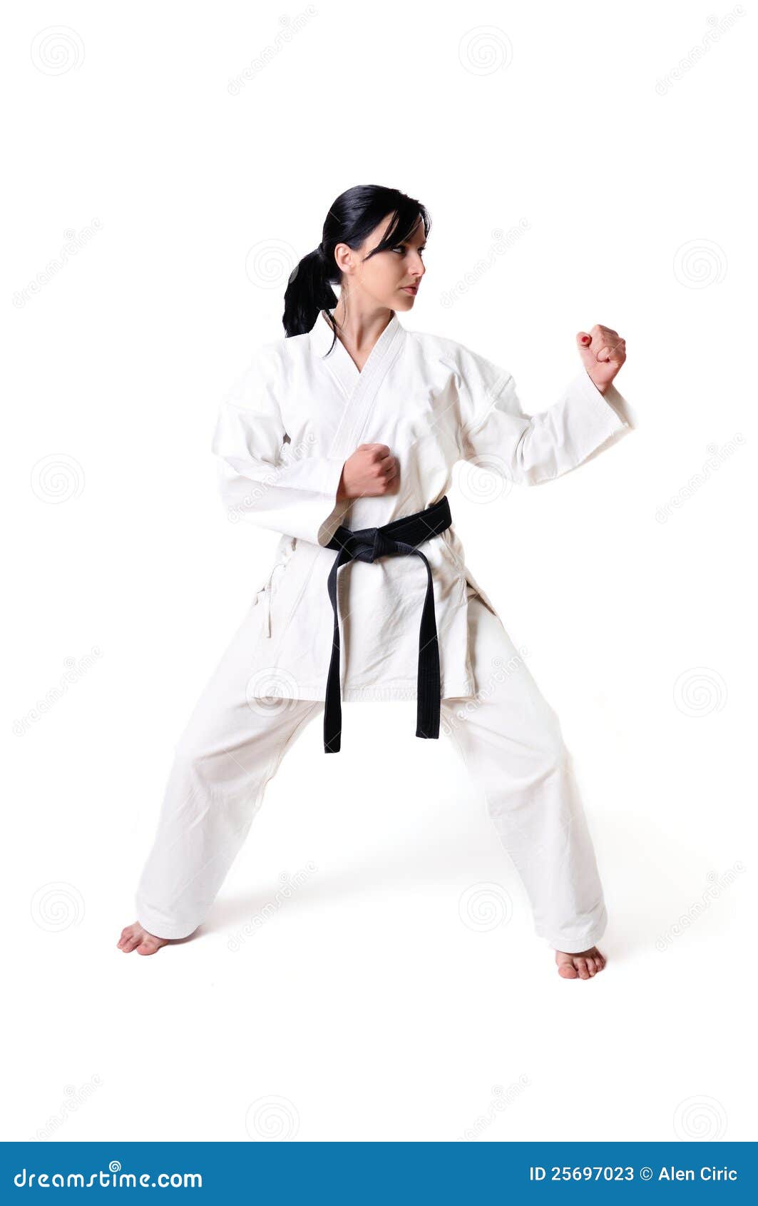 Karate Woman In Basic Karate Pose Stock Photography | CartoonDealer.com ...