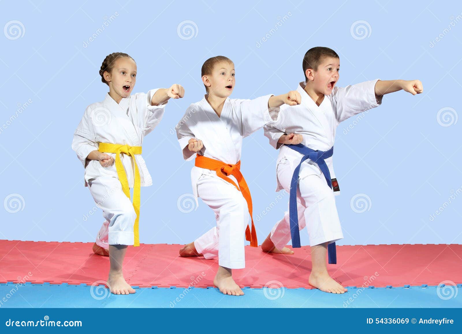 In Karategi Athletes Sit In A Karate Pose Stock Image | CartoonDealer ...