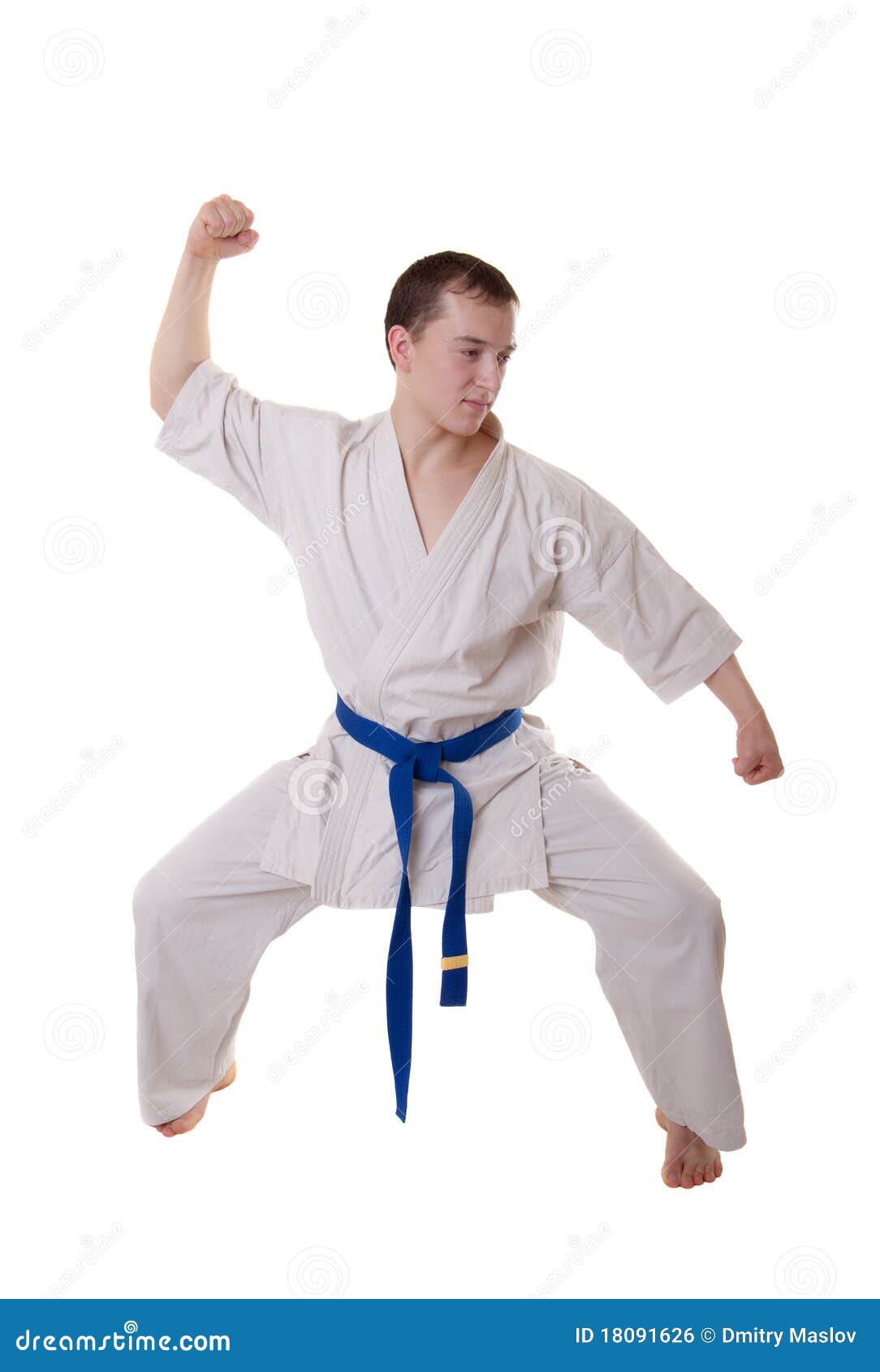 Karateka fotografia stock. Immagine di tradizionale, uomini - 18091626