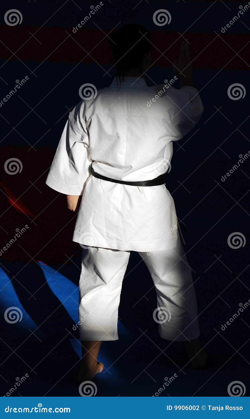 Karateka stock photo. Image of female, costume, karate - 9906002
