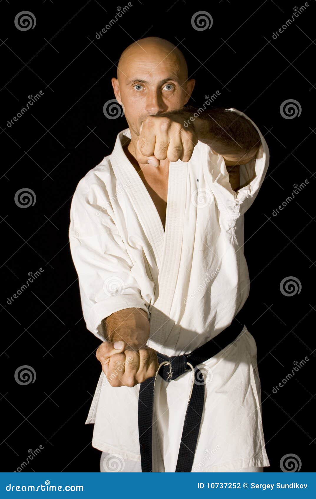 Karateka men fighting stock photo. Image of karate, hand - 10737252