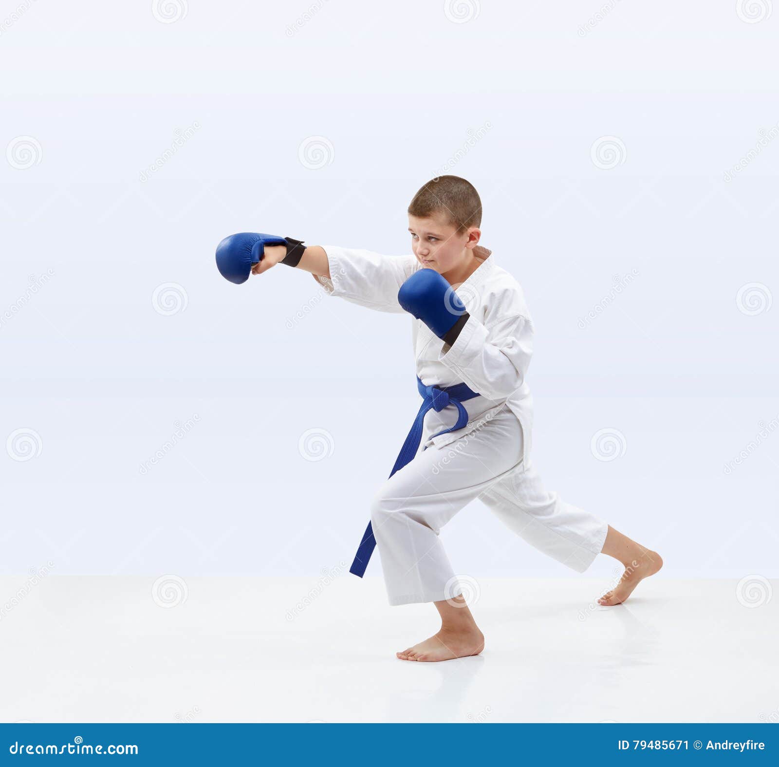 Karateka with Overlays on the Hand is Beating Punch Arm Stock Image ...