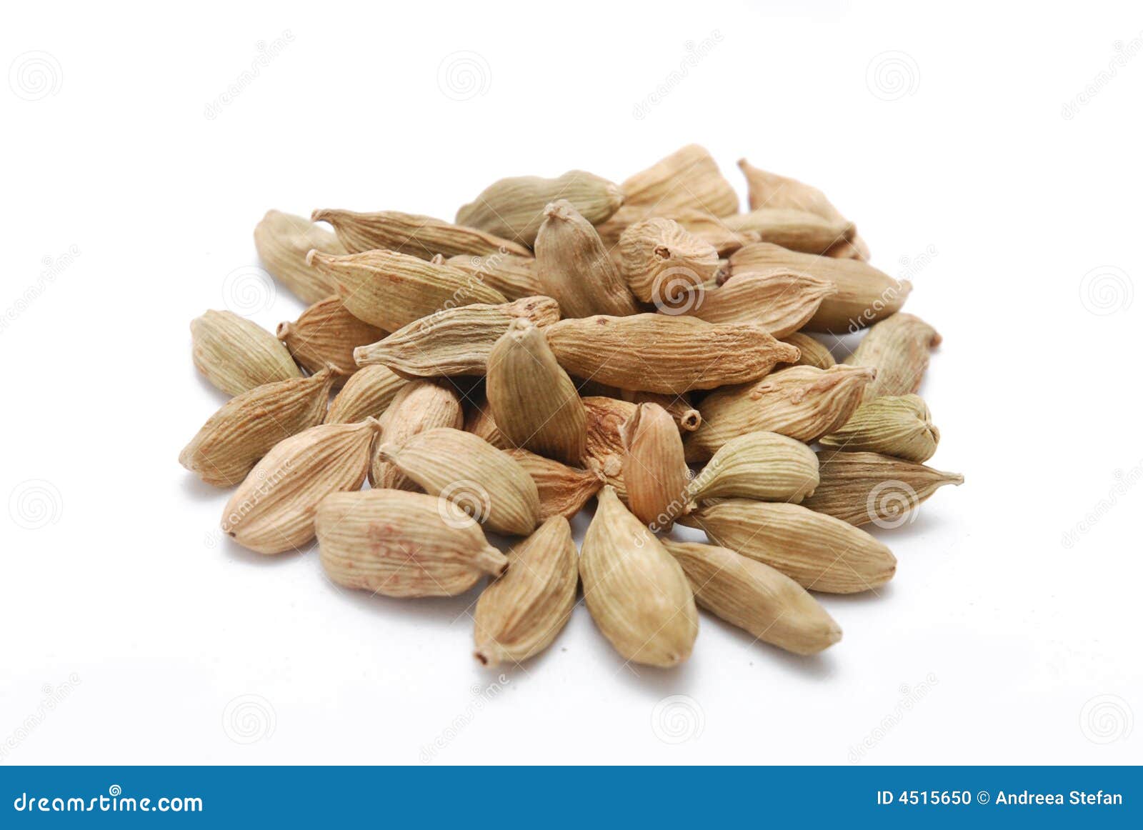 Kardamon zdjęcie stock. Obraz złożonej z fasola, łasowanie - 4515650