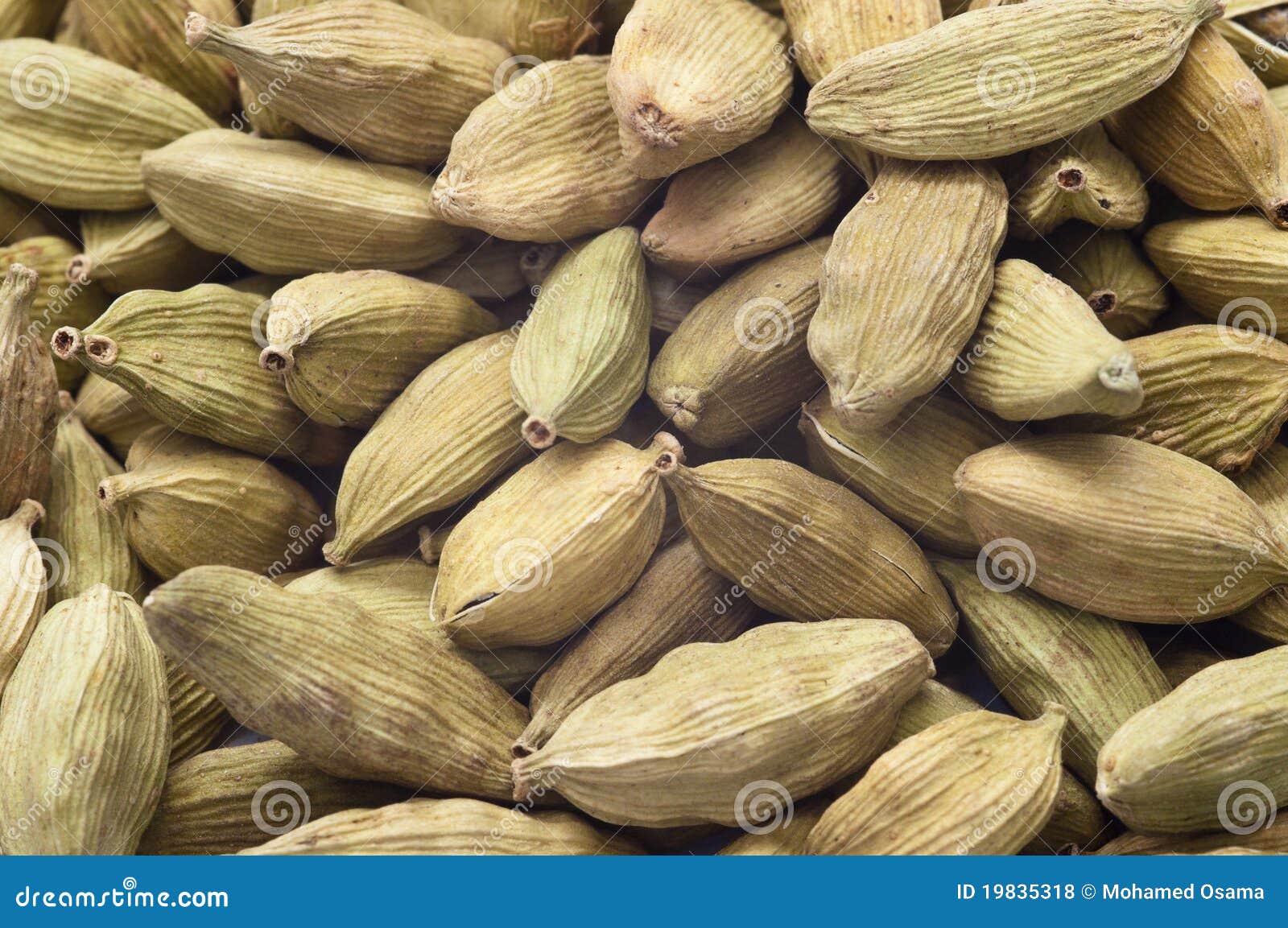 Kardemom stock foto. Image of exotisch, oostelijk, specerij - 19835318
