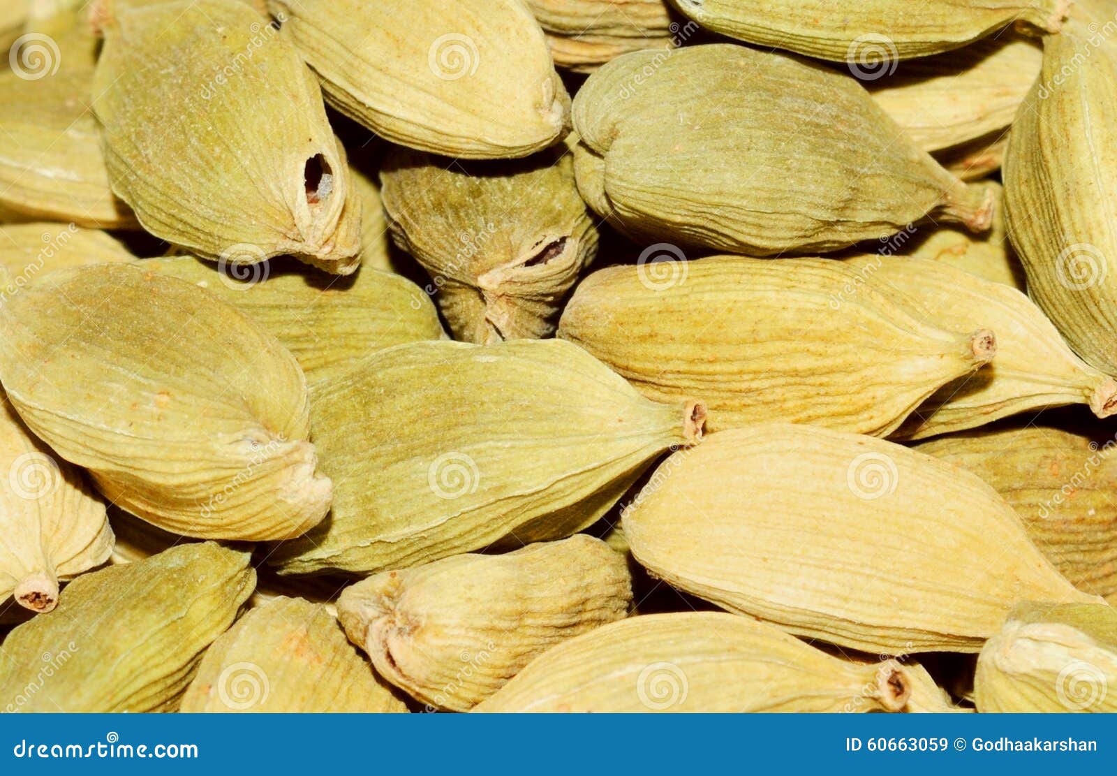Kardemom (Elettaria-cardamomum) Stock Afbeelding - Image of indisch ...