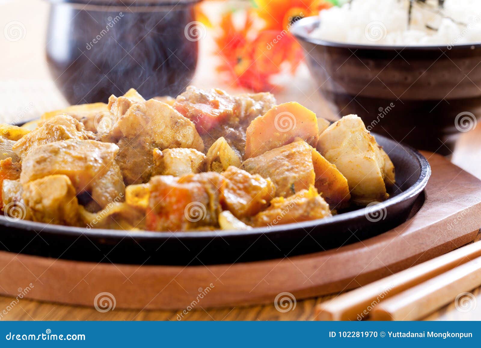 Kare Rice stock photo. Image of ingredients, japanese - 102281970