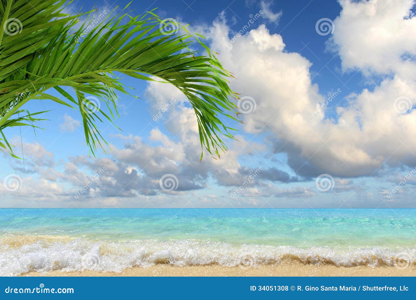 Karibischer Strand Mit Palme Stockfoto - Bild von exotisch, baum: 34051308