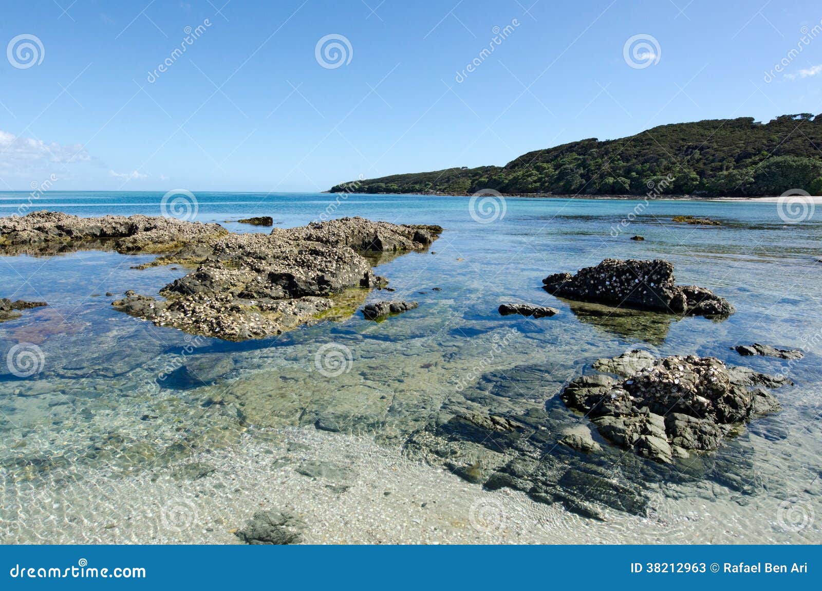 Karikari Peninsula - New Zealand Stock Image - Image of colorful, green ...