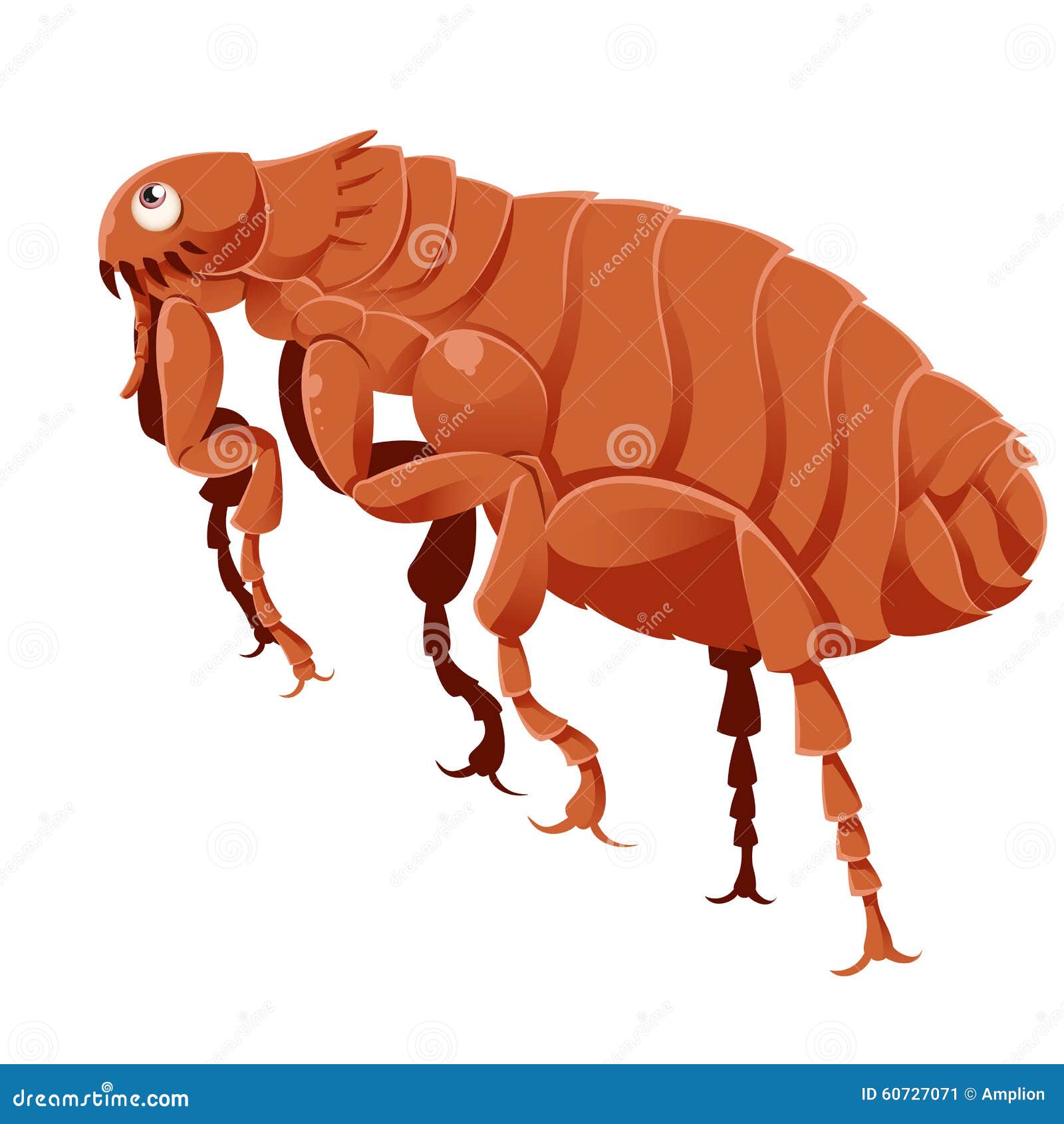 Karikatur-Floh vektor abbildung. Illustration von zeichnung - 60727071