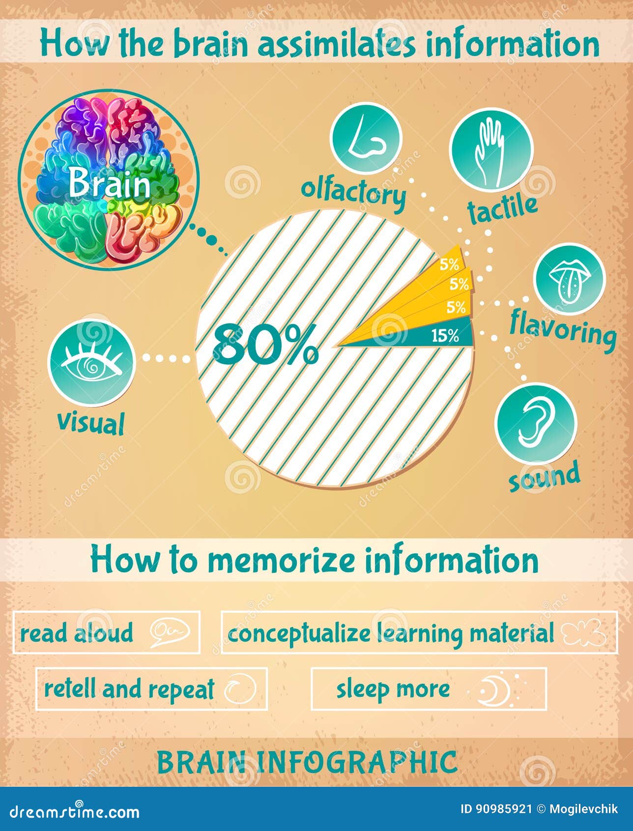 Karikatur-Mensch Brain Infographics Vektor Abbildung - Illustration von ... Karikatur-Mensch Brain Infographics Vektor Abbildung - Illustration von ...