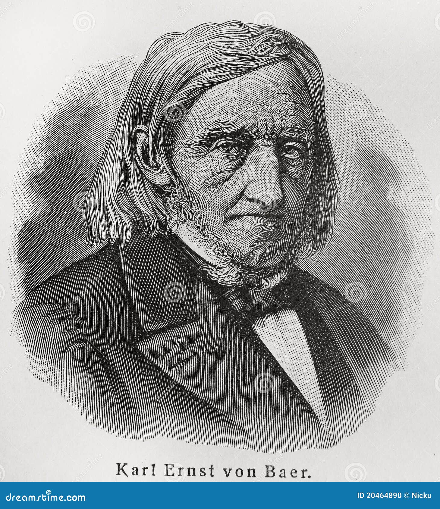 Karl Baer's Instagram, Twitter & Facebook on IDCrawl