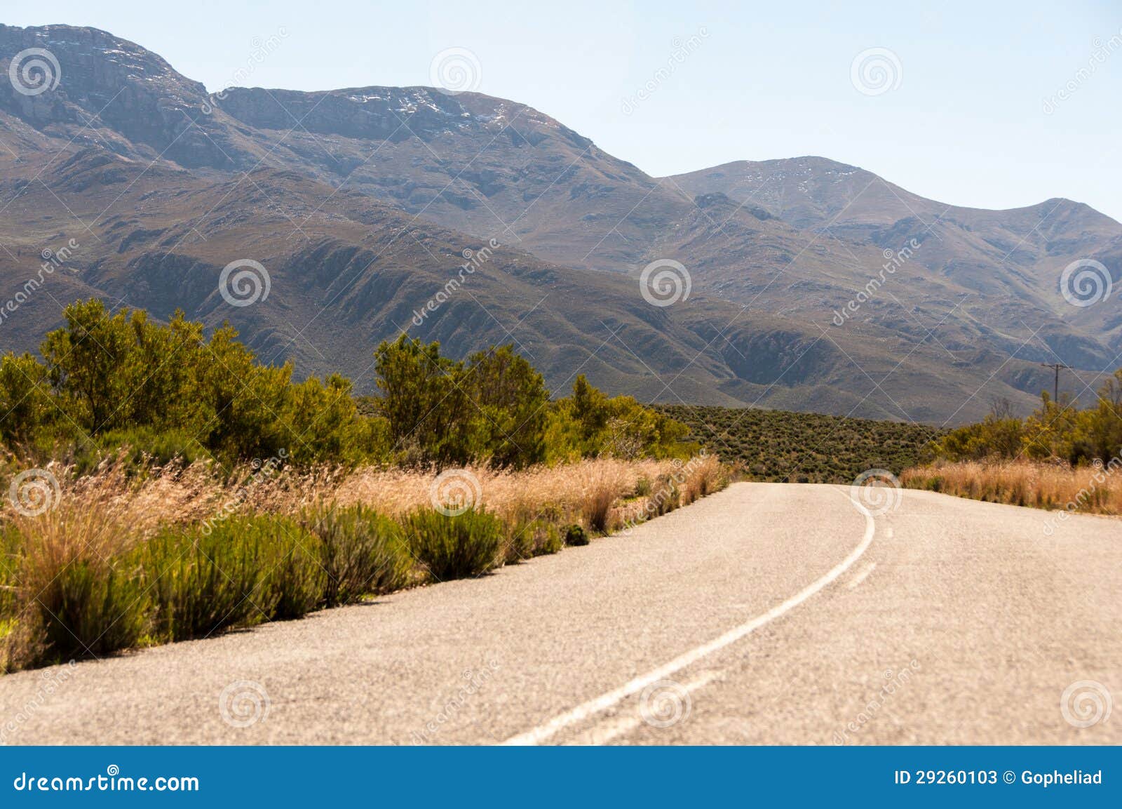 Karoo Road stock image. Image of south, landscapes, grasses - 29260103