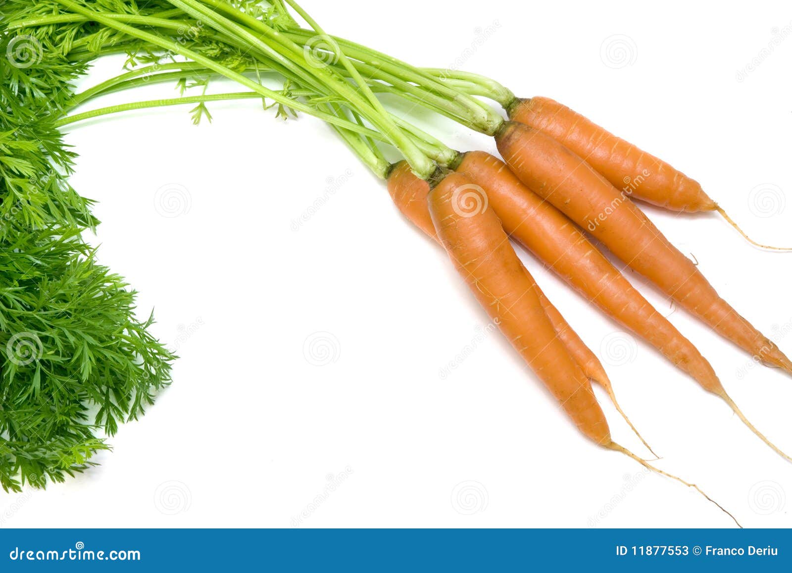 Karotte stockbild. Bild von nahrung, frische, erfrischung - 11877553