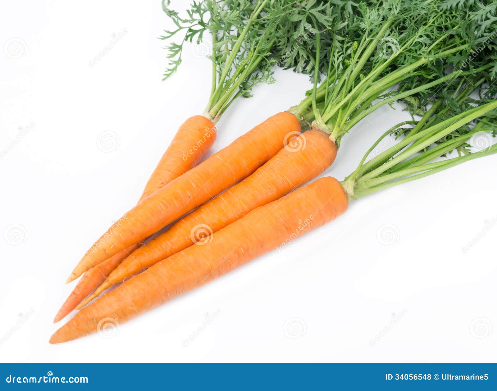 Karotte lokalisiert stockfoto. Bild von nachrichten, dynamisch - 34056548