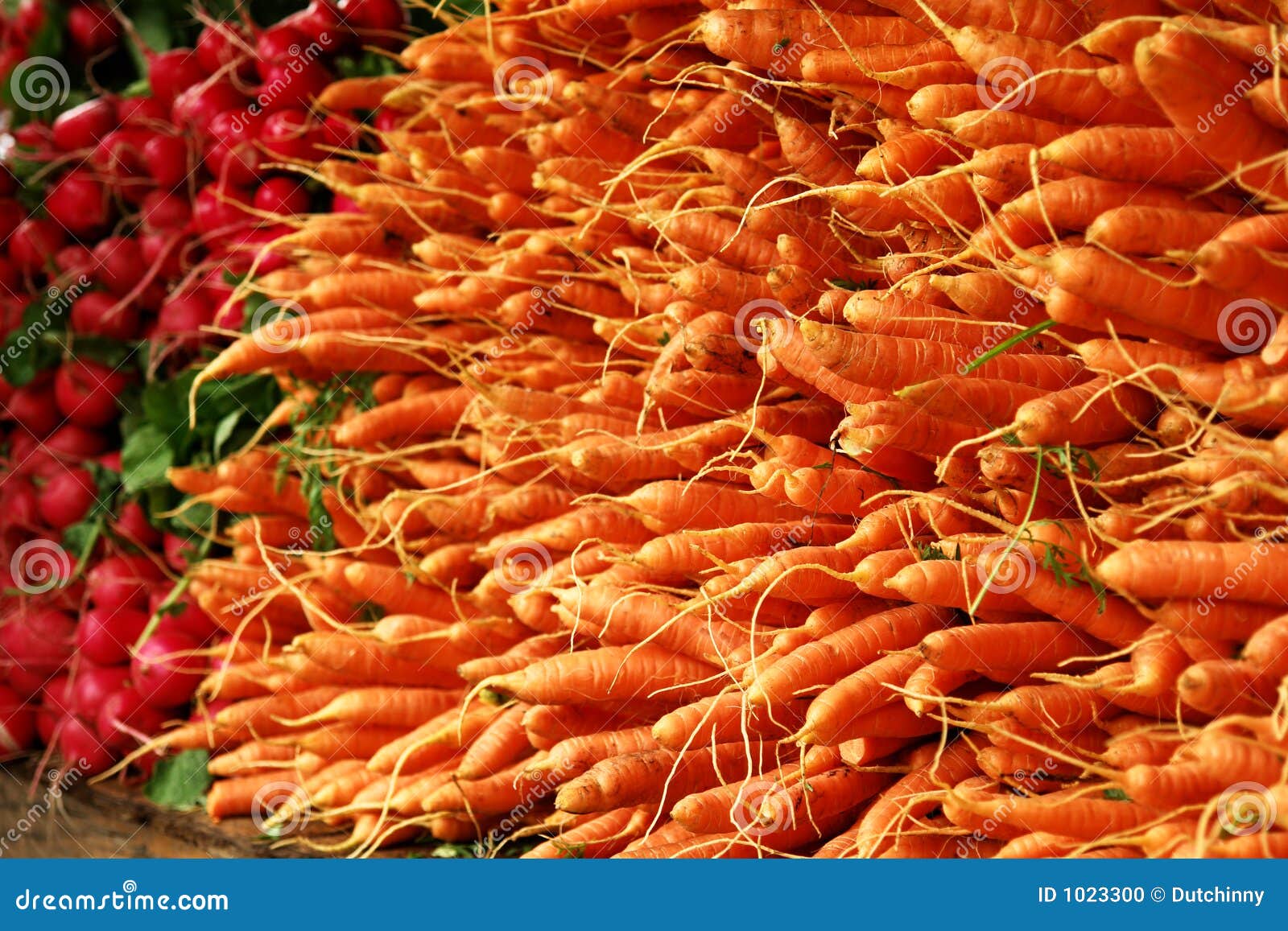 Karotten stockfoto. Bild von carotin, landwirtschaft, karotten - 1023300