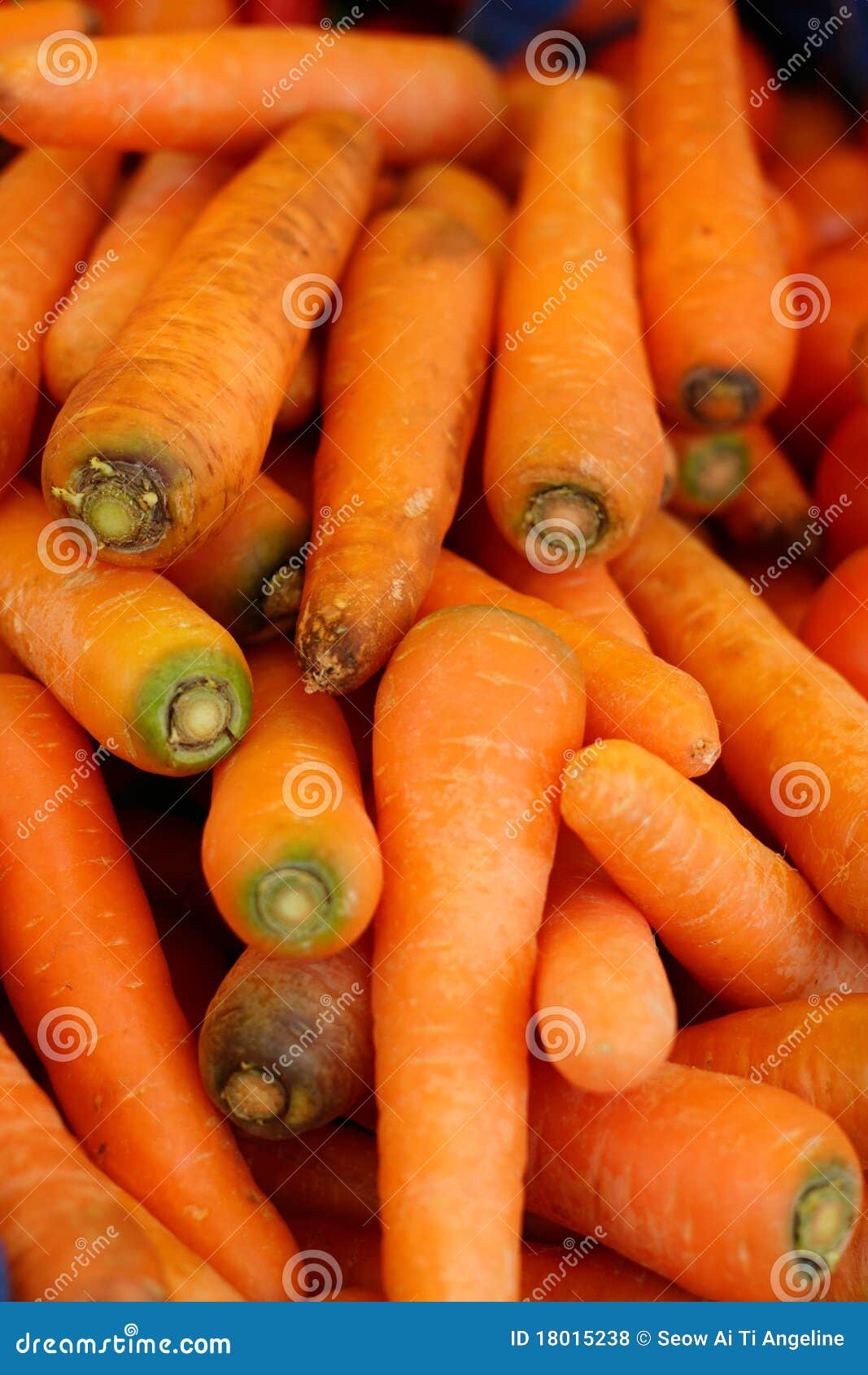 Karotten stockfoto. Bild von karotte, orange, gemüse - 18015238