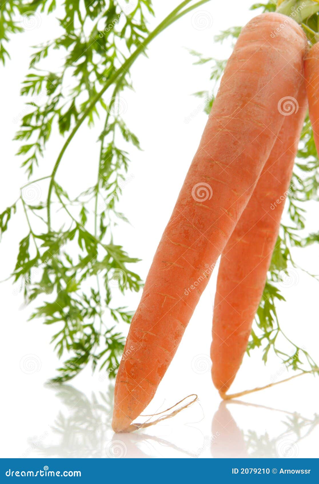 Karotten stockfoto. Bild von karotte, frech, frisch, nahrung - 2079210