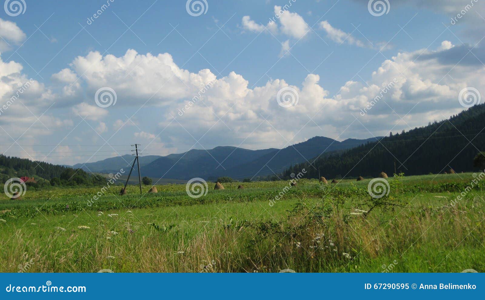 Karpaty stock image. Image of karpaty, beauty, lviv, hill - 67290595