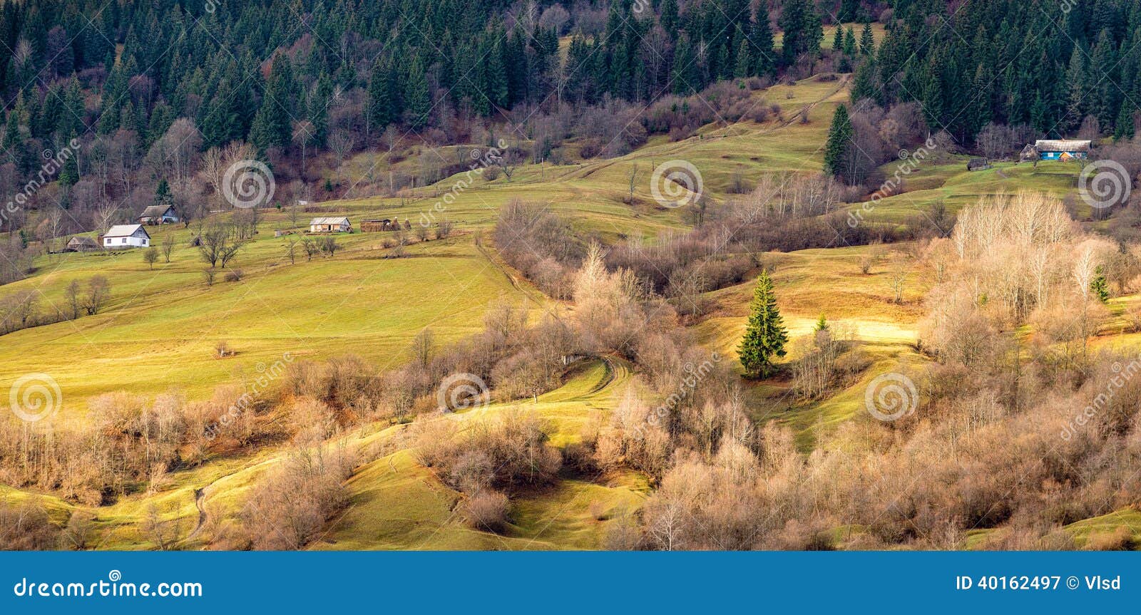 Karpaty stock image. Image of road, yellow, orange, morning - 40162497