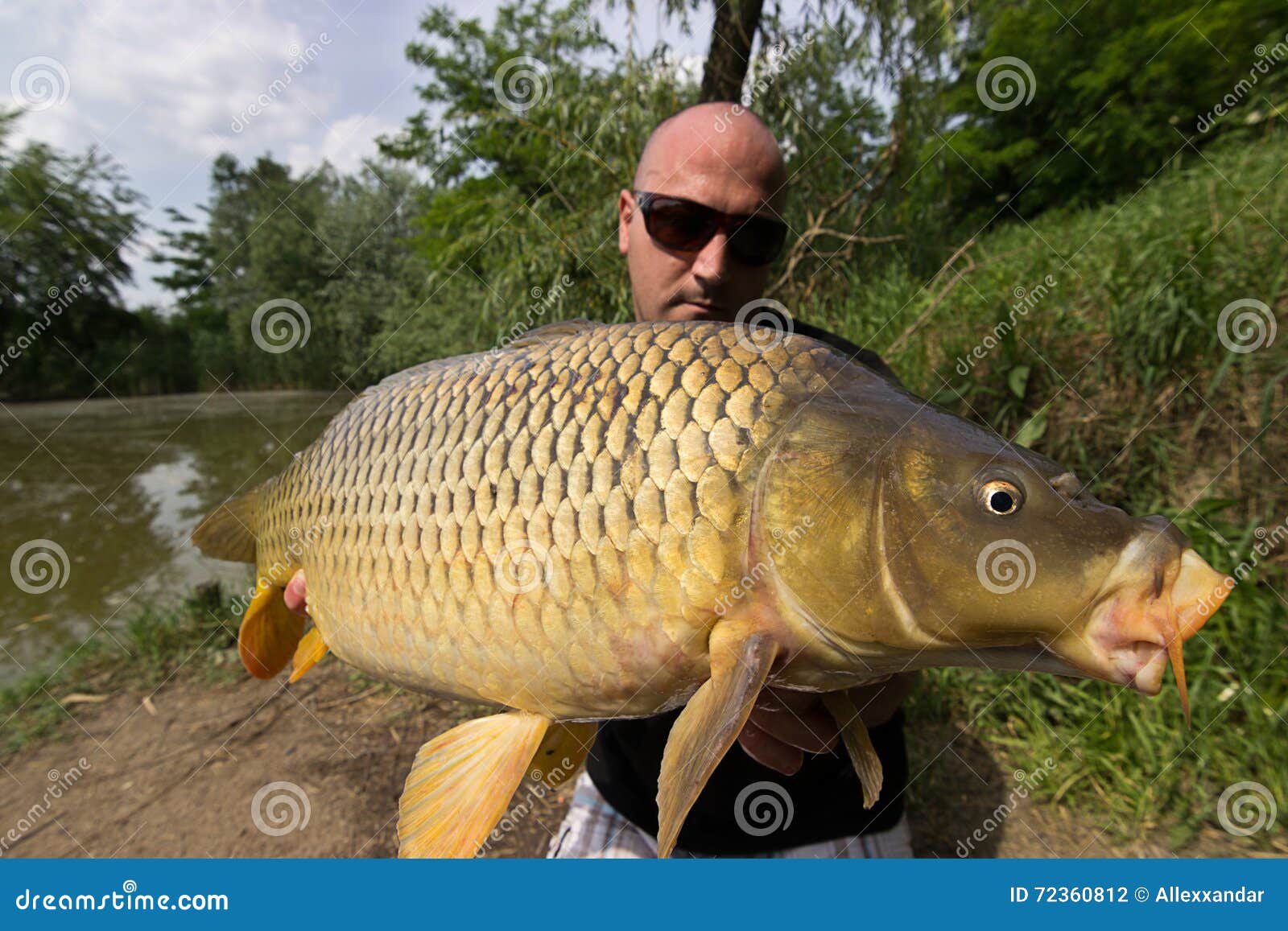 Karper En Visser, Karper Visserijtrofee Stock Foto - Image of dier ...