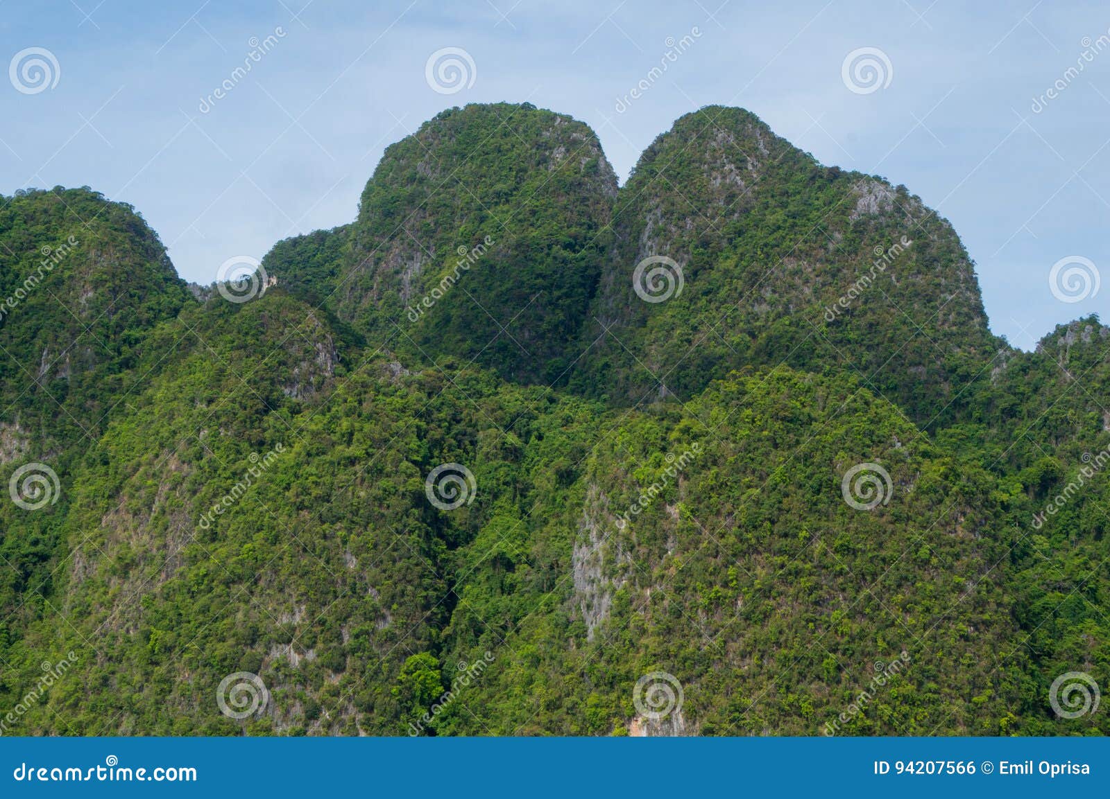 Karst Cliffs Covered in Jungle Stock Photo - Image of mangrove, asian ...