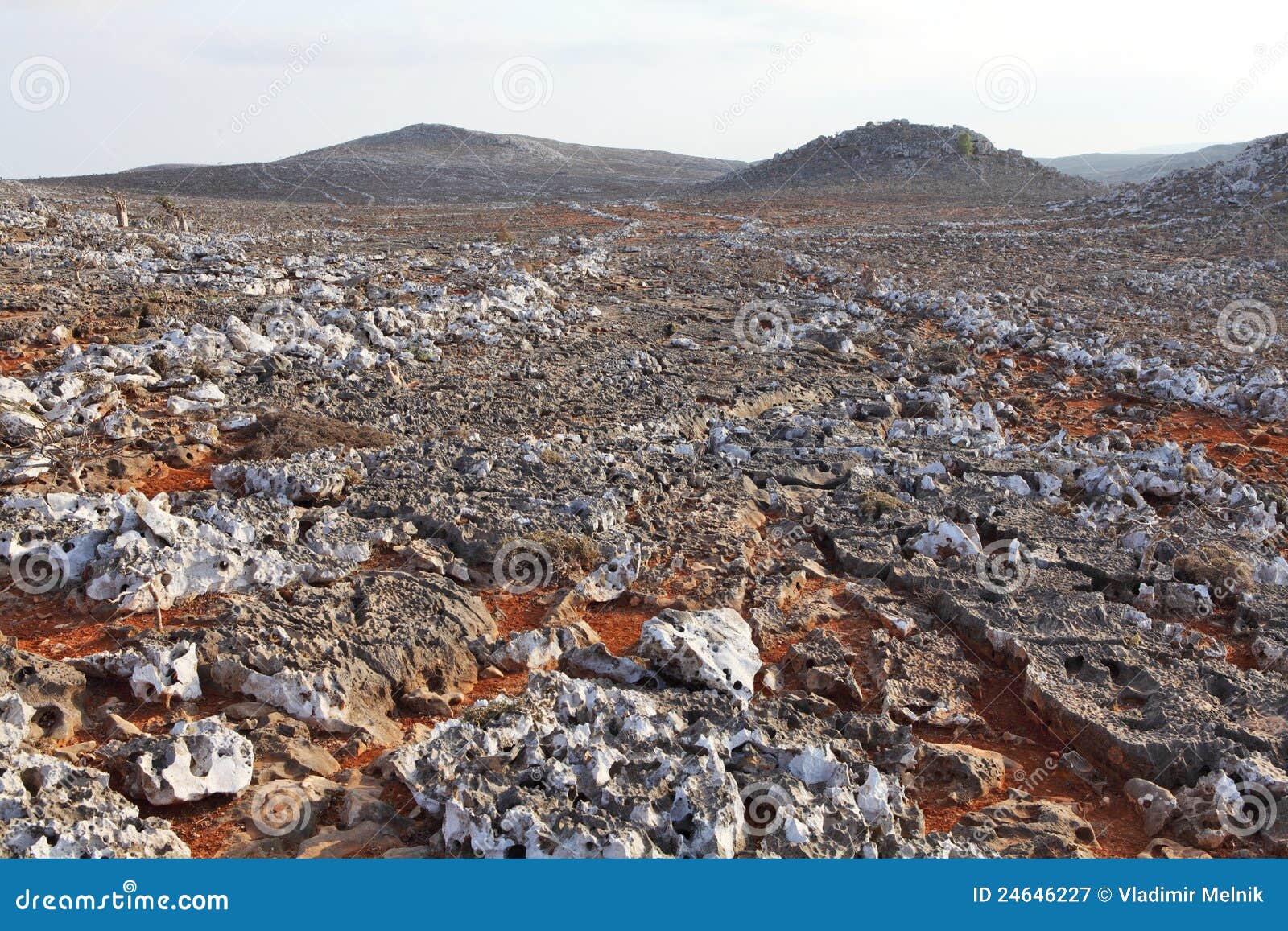 Karst field stock image. Image of karst, kras, wilderness - 24646227