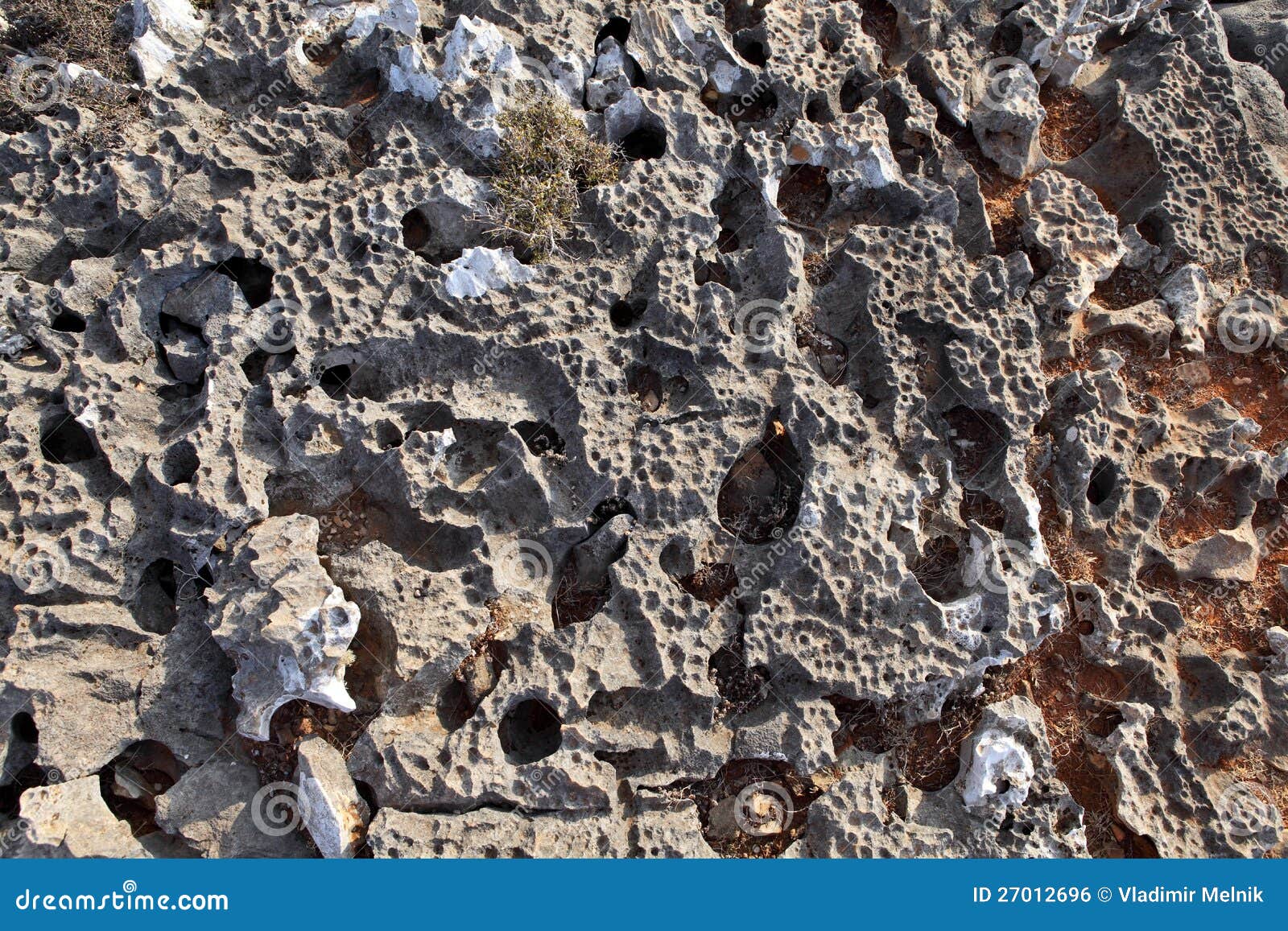 Karst field stock photo. Image of geology, rock, socotra - 27012696