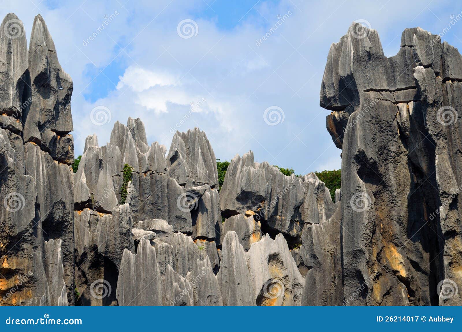 Karst Landforms，Stone Forest Stock Image - Image of geomorphology ...