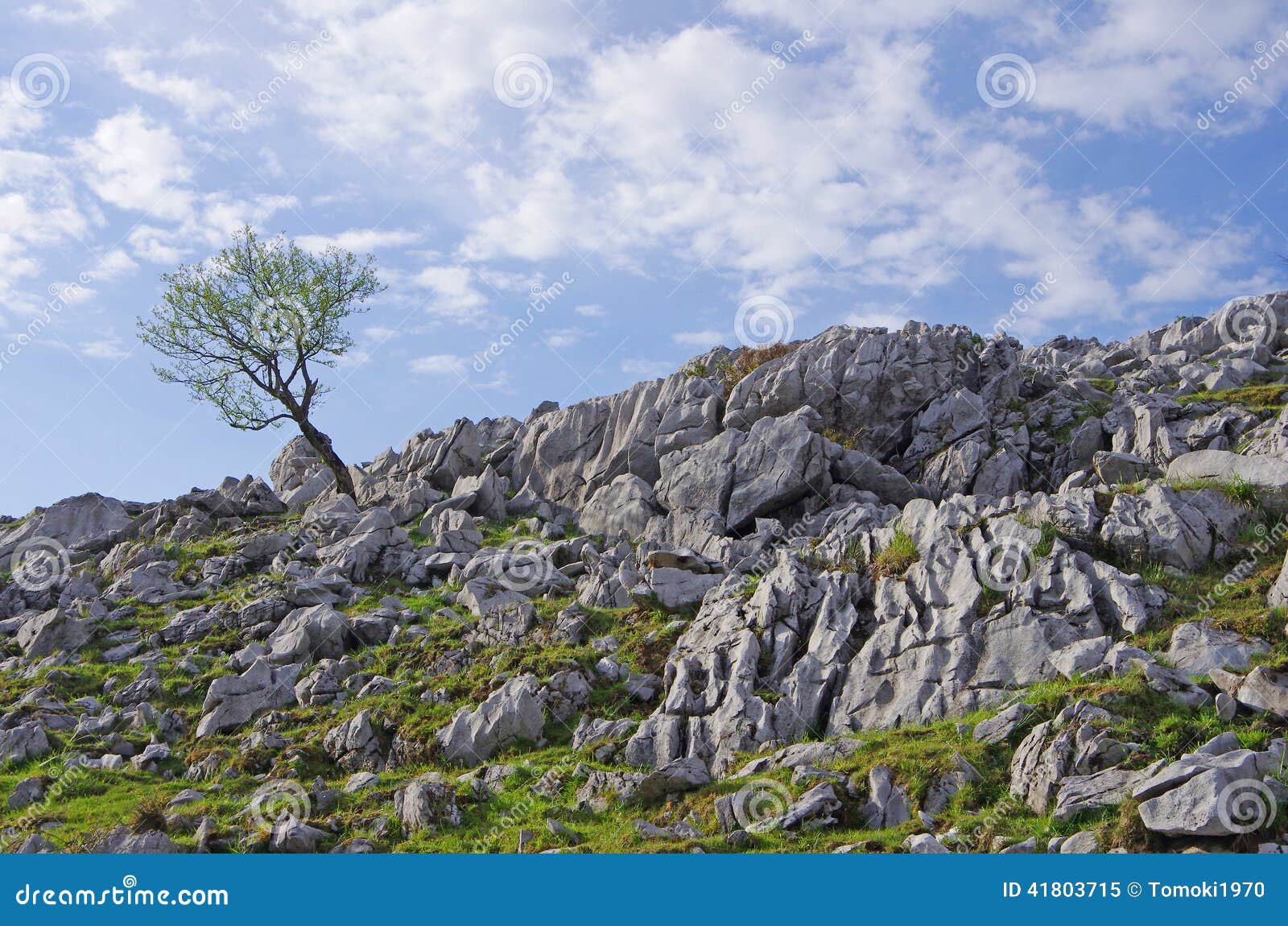 Karst Topography (Shikoku Karst) Stock Image - Image of kochi ...