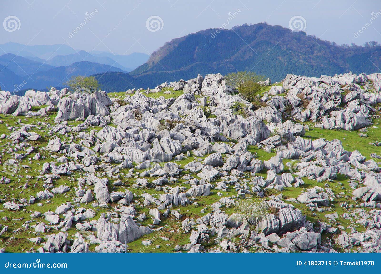 Karst Topography (Shikoku Karst) Stock Image | CartoonDealer.com #41803723