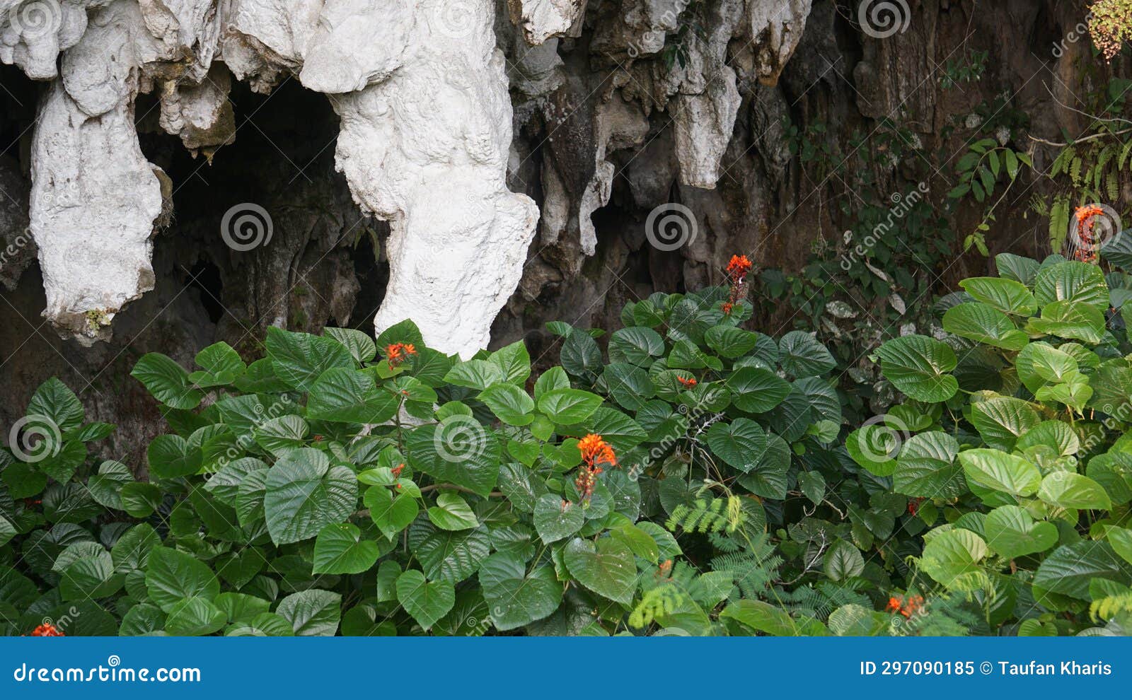 Limestone Dissolved By Trickling Water Has Formed Both Stalagmites And ...