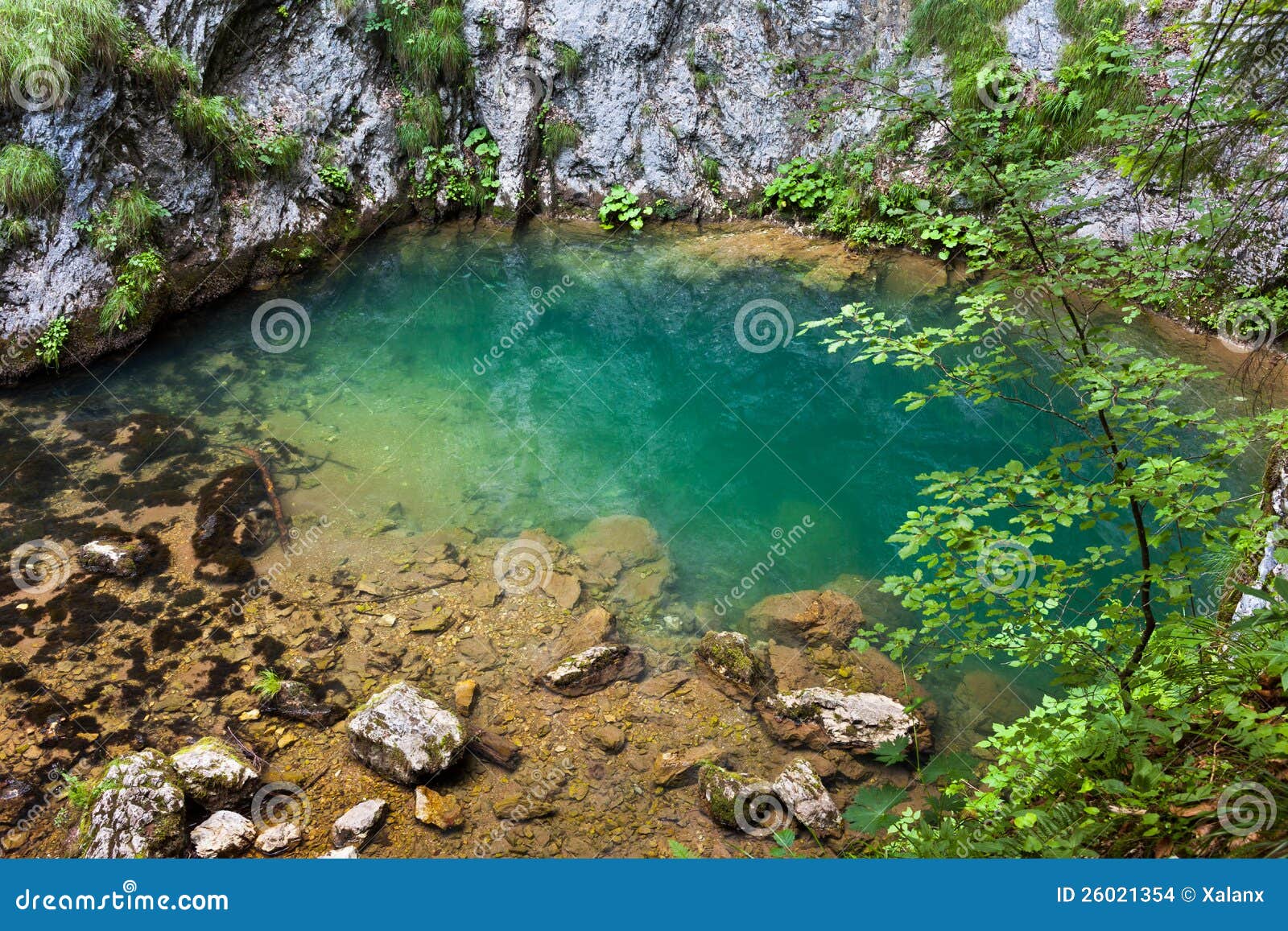 Karstic spring stock photo. Image of slope, sinkhole - 26021354