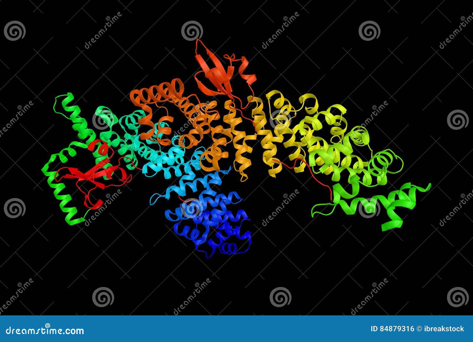 Karyopherin Alpha 1, a Protein Shown To Interact Stock Illustration ...