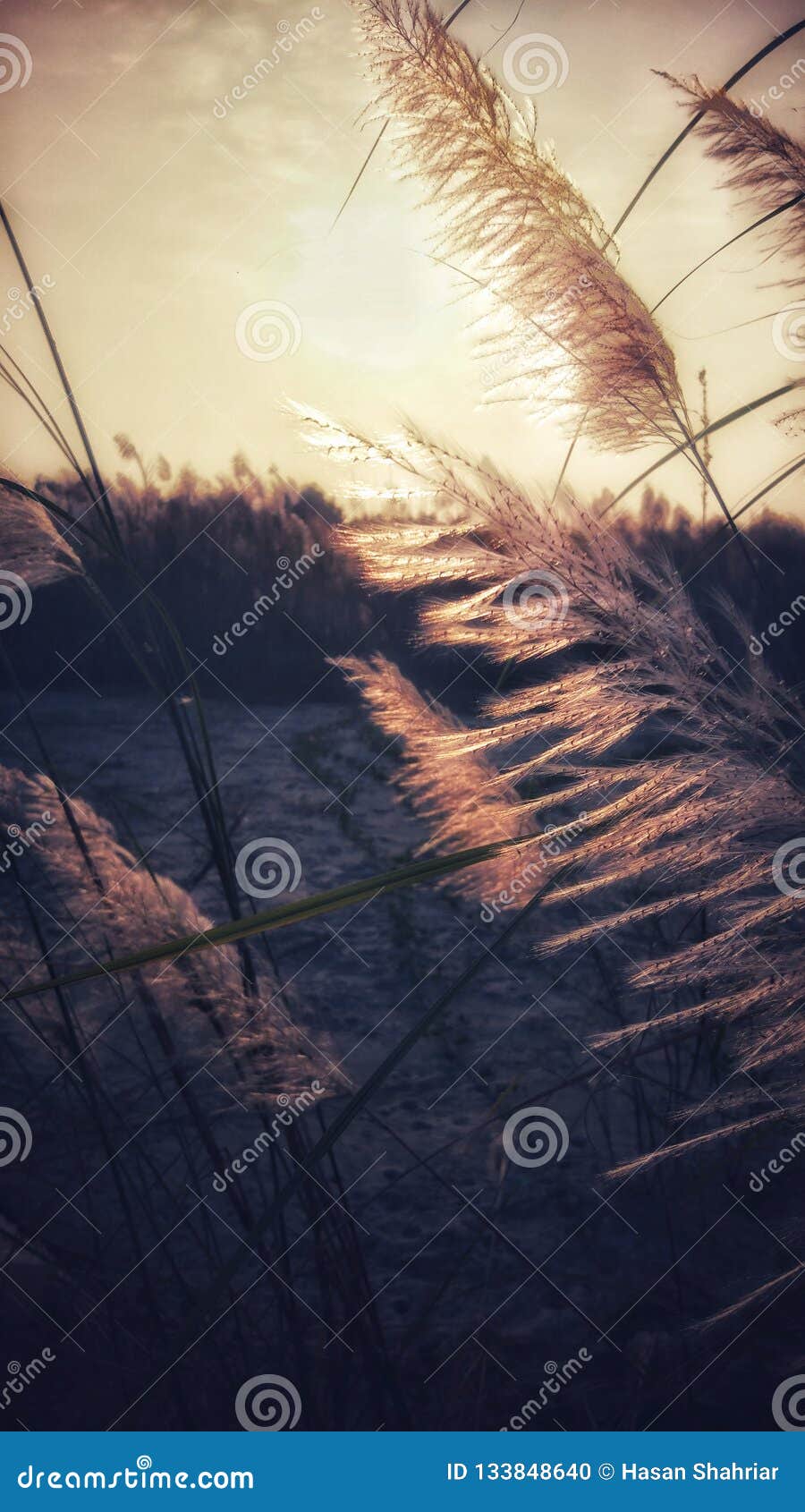 Kashful Sunset Backliy Stock Photos - Free & Royalty-Free Stock Photos ...