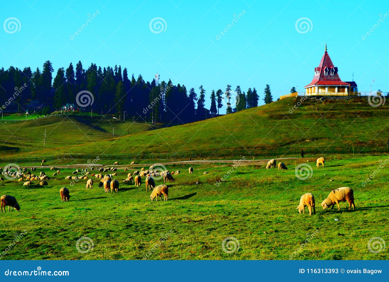 Kashmir gulmarg stock image. Image of place, kashmir - 116313393