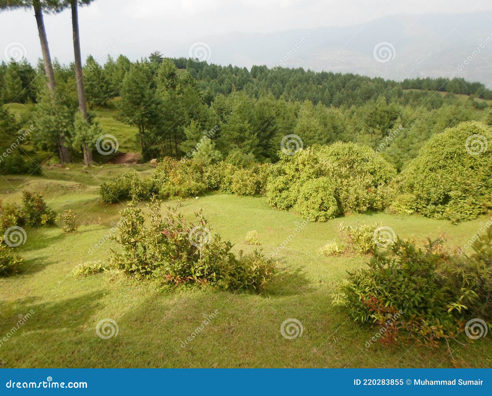 Kashmir Jannah View stock image. Image of meadow, mountain - 220283855