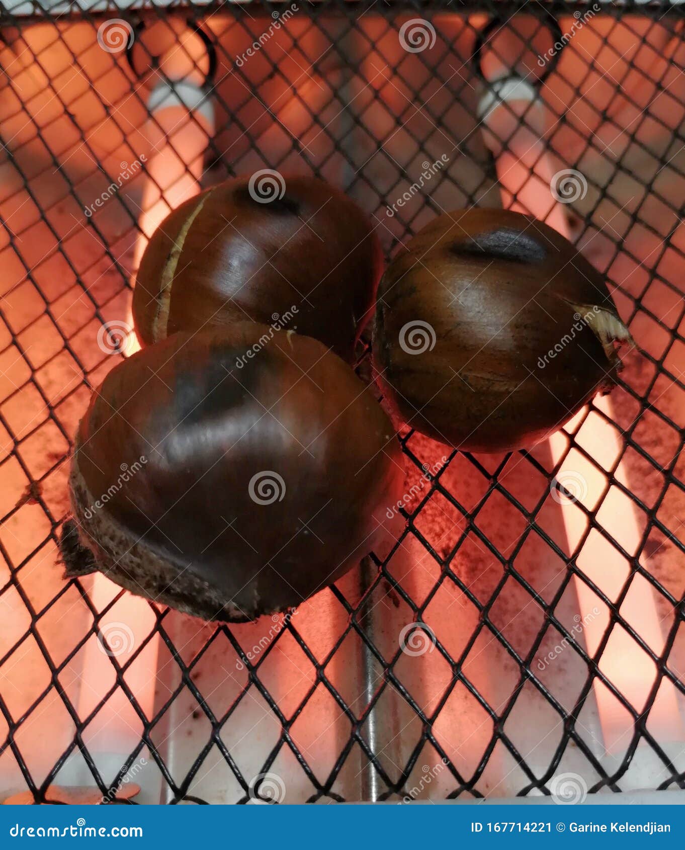 Kastana Chestnut on a Grill Stock Image - Image of grill, winter: 167714221