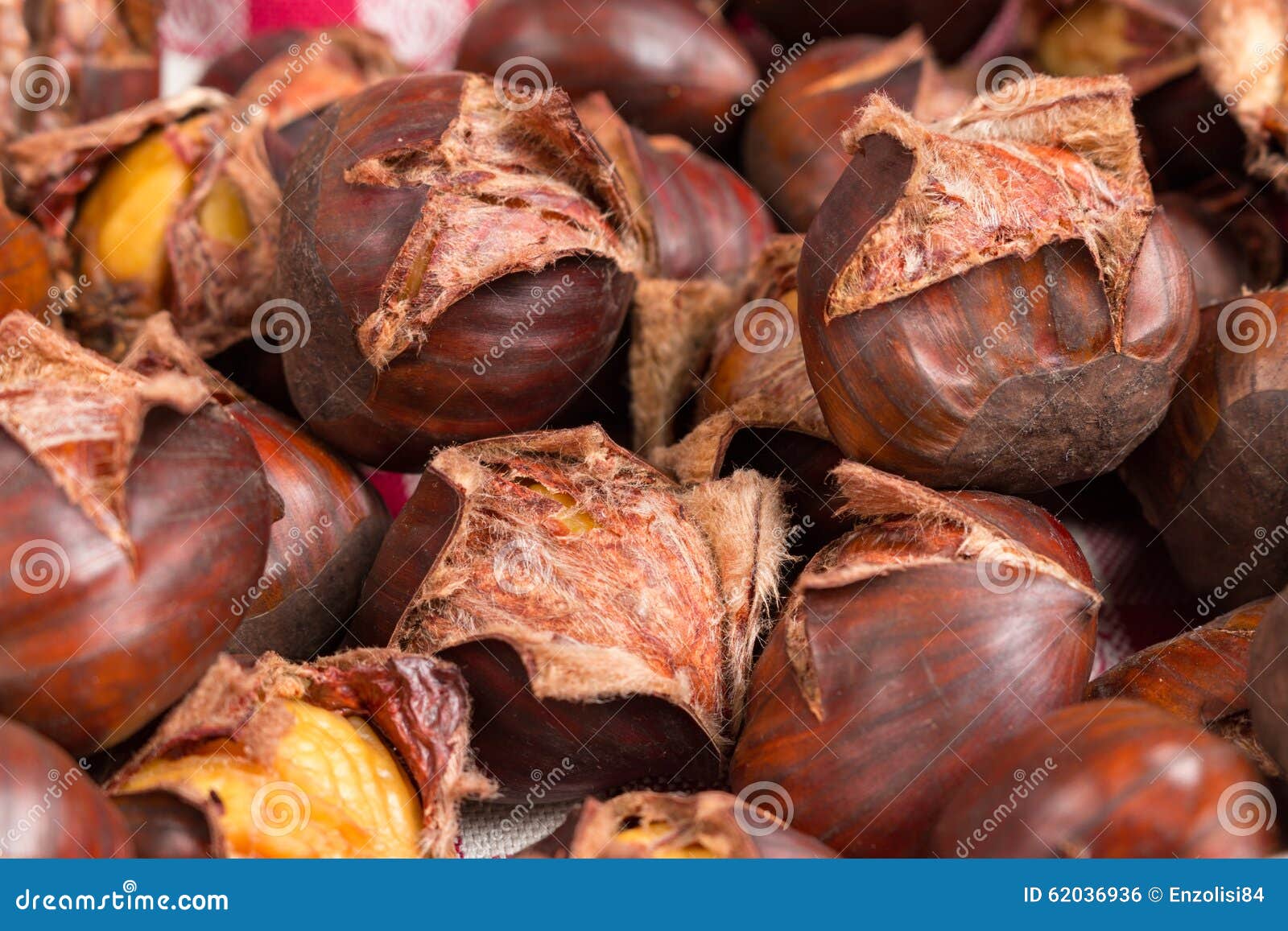 Kastanj arkivfoto. Bild av skal, medf8ort, nötskal, organiskt - 62036936