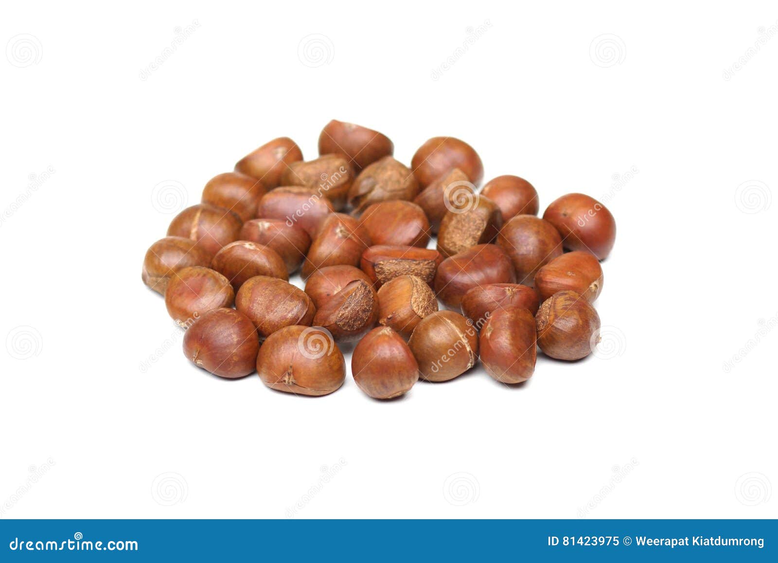 Kastanj fotografering för bildbyråer. Bild av skal, stapel - 81423975